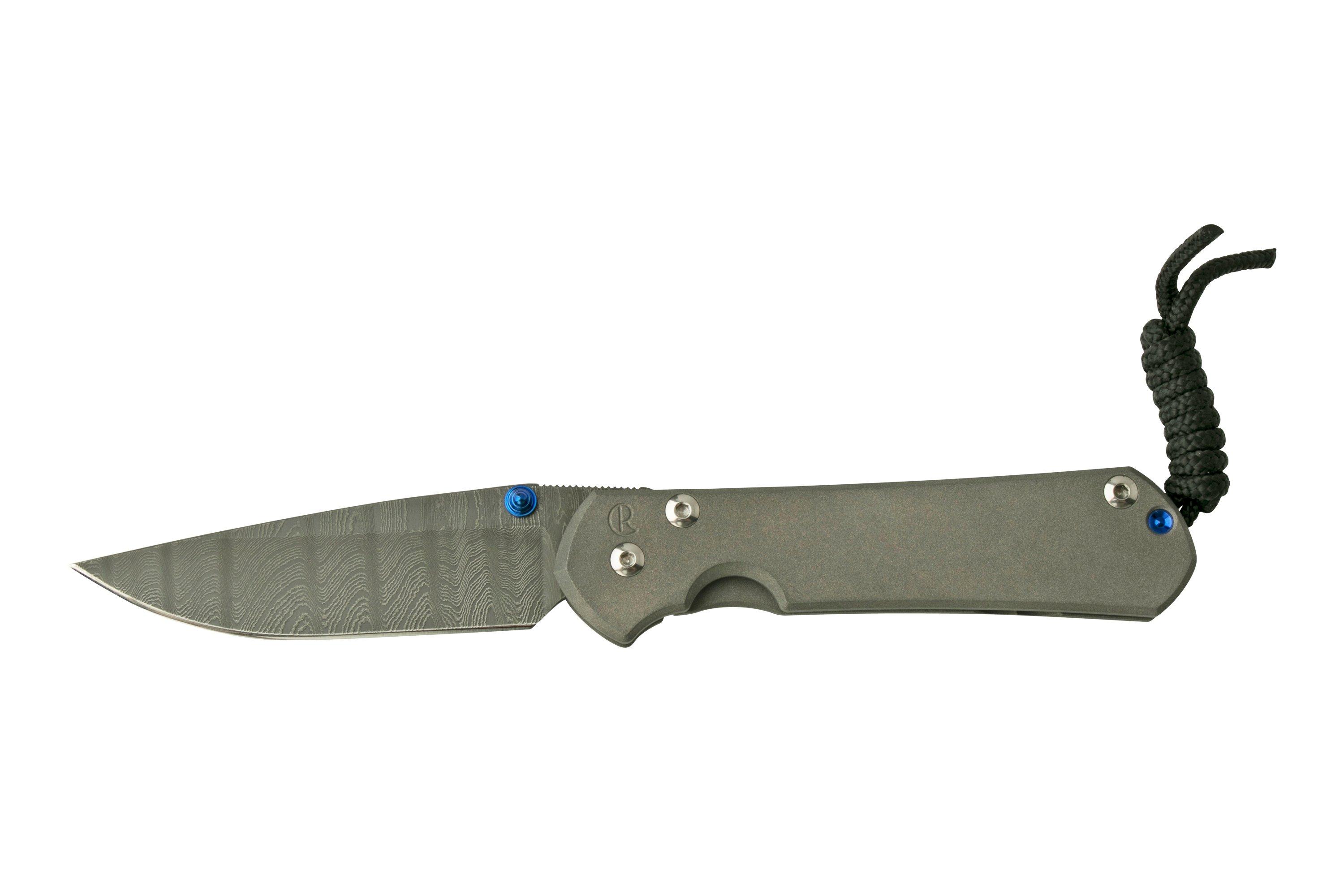 Chris Reeve Sebenza 31 Small Plain Ladder Damascus S31-1004 zakmes ...