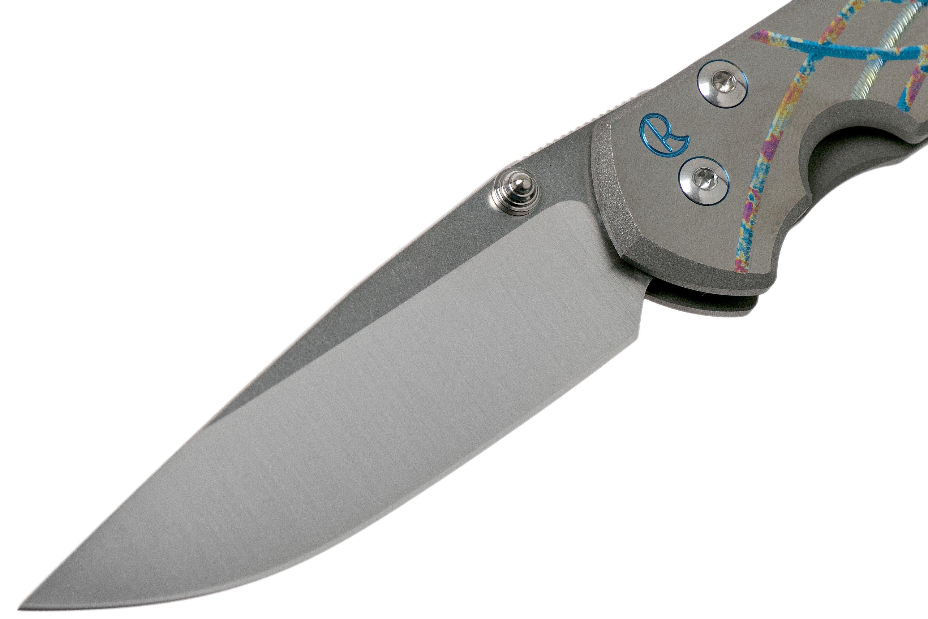 Chris Reeve Small Sebenza 31 Unique Graphics Cabochon Drop Point S31 ...