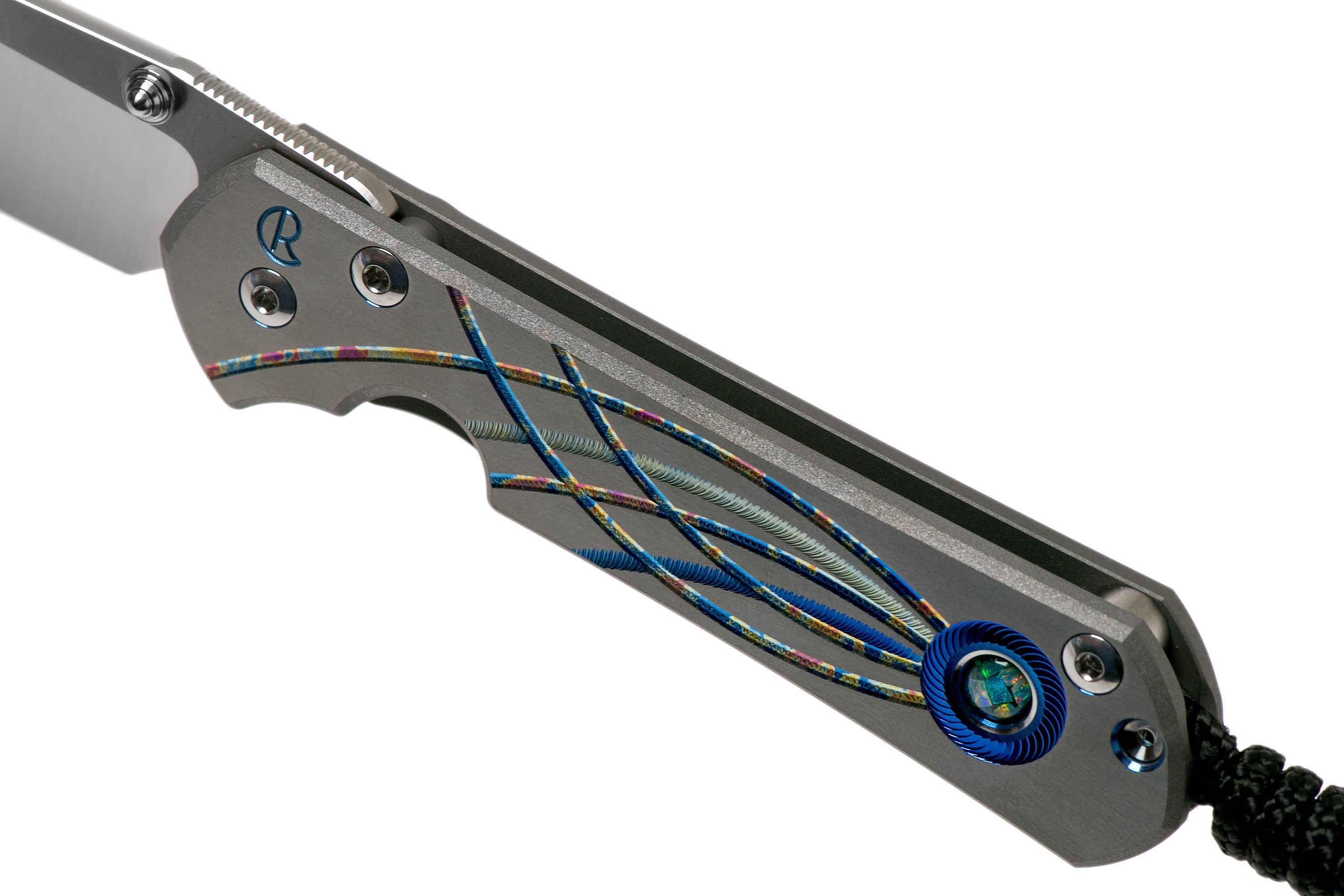 Chris Reeve Small Sebenza 31 Unique Graphics Cabochon Drop Point S31 ...