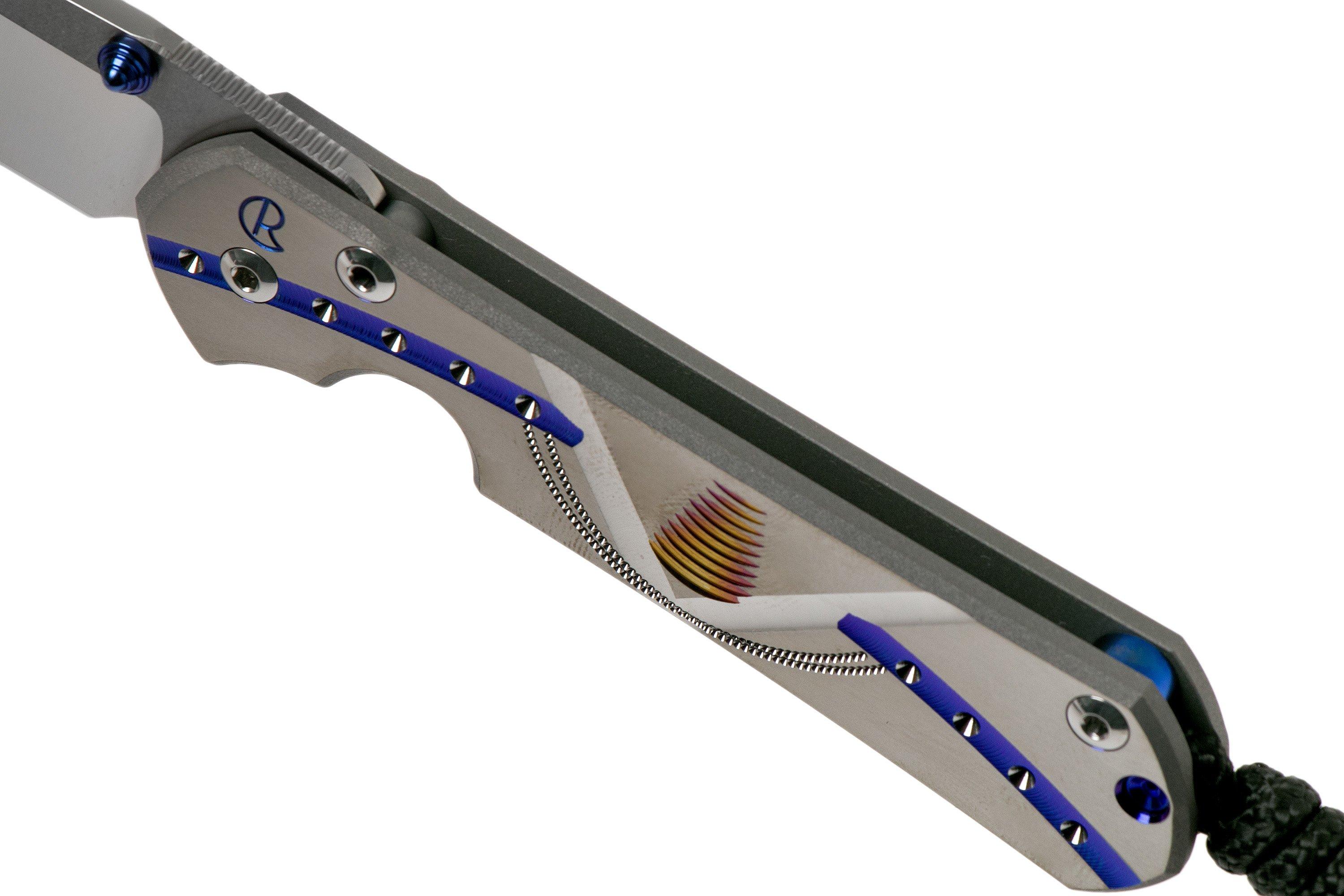 Chris Reeve Small Sebenza 31 Unique Graphics Drop Point S31-1400-20-C ...