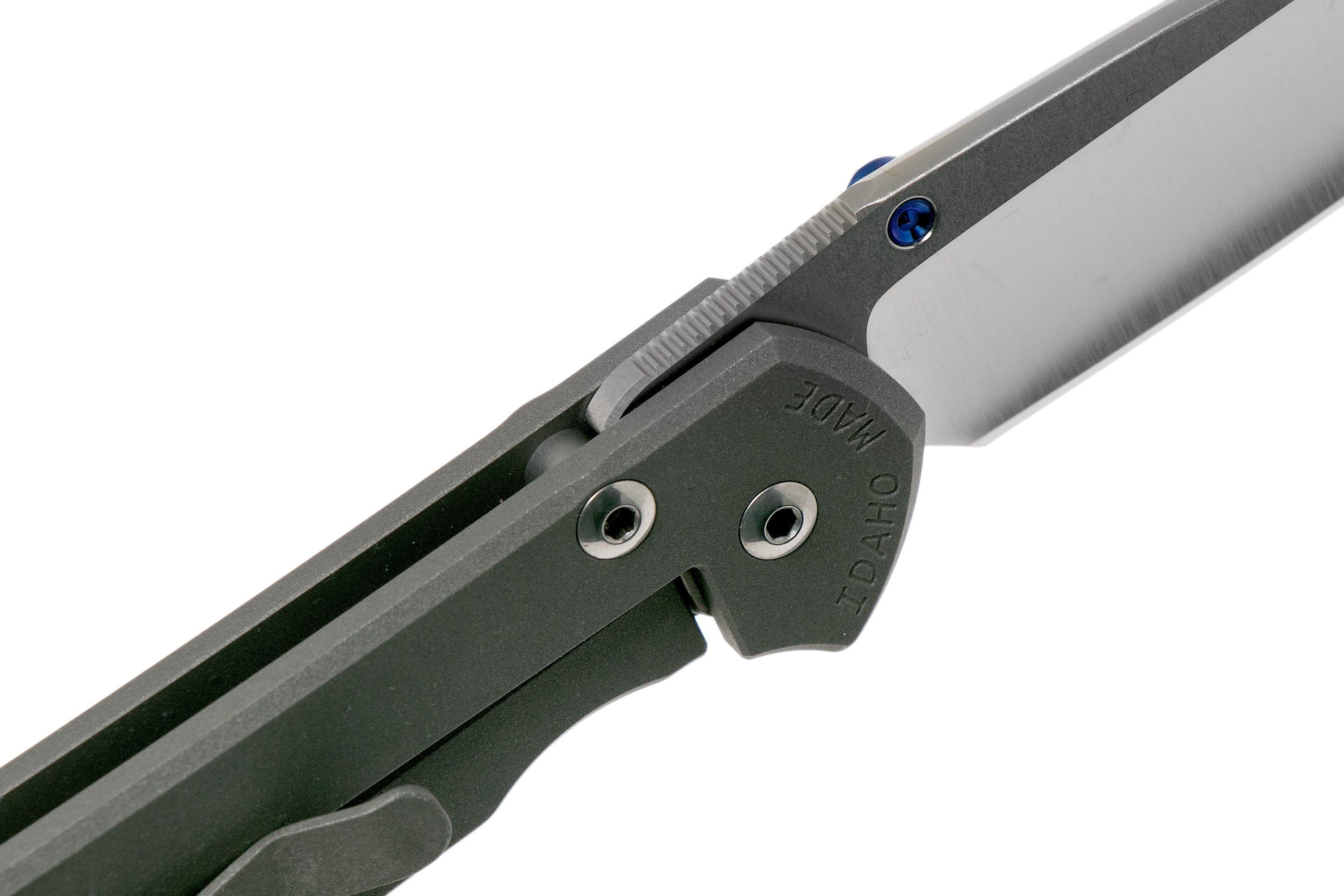 Chris Reeve Small Sebenza 31 Unique Graphics Drop Point S31-1400-20-D ...