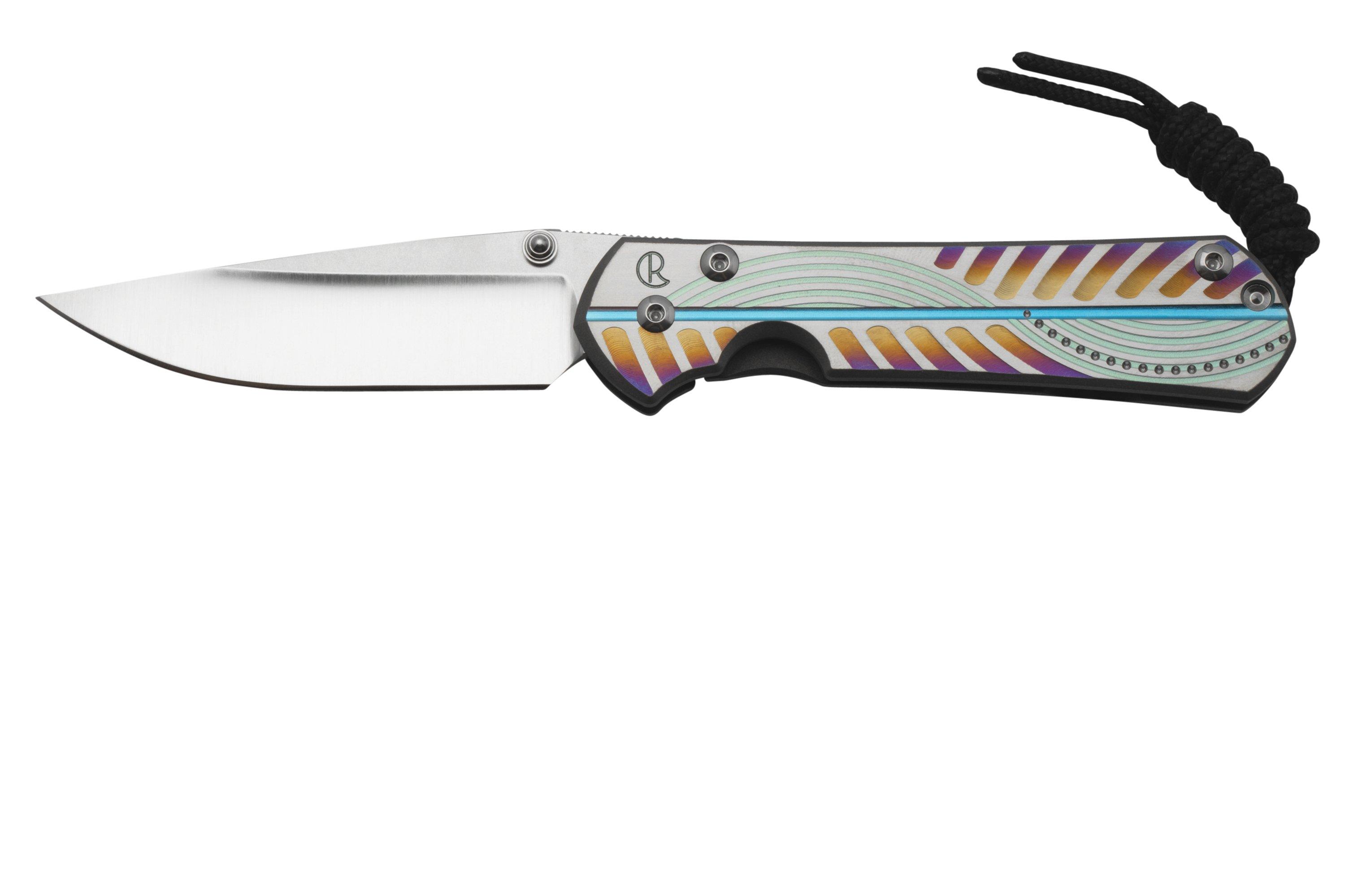 Chris Reeve Small Sebenza 31 Unique Graphic Drop Point 2023 S31-1400-23 ...