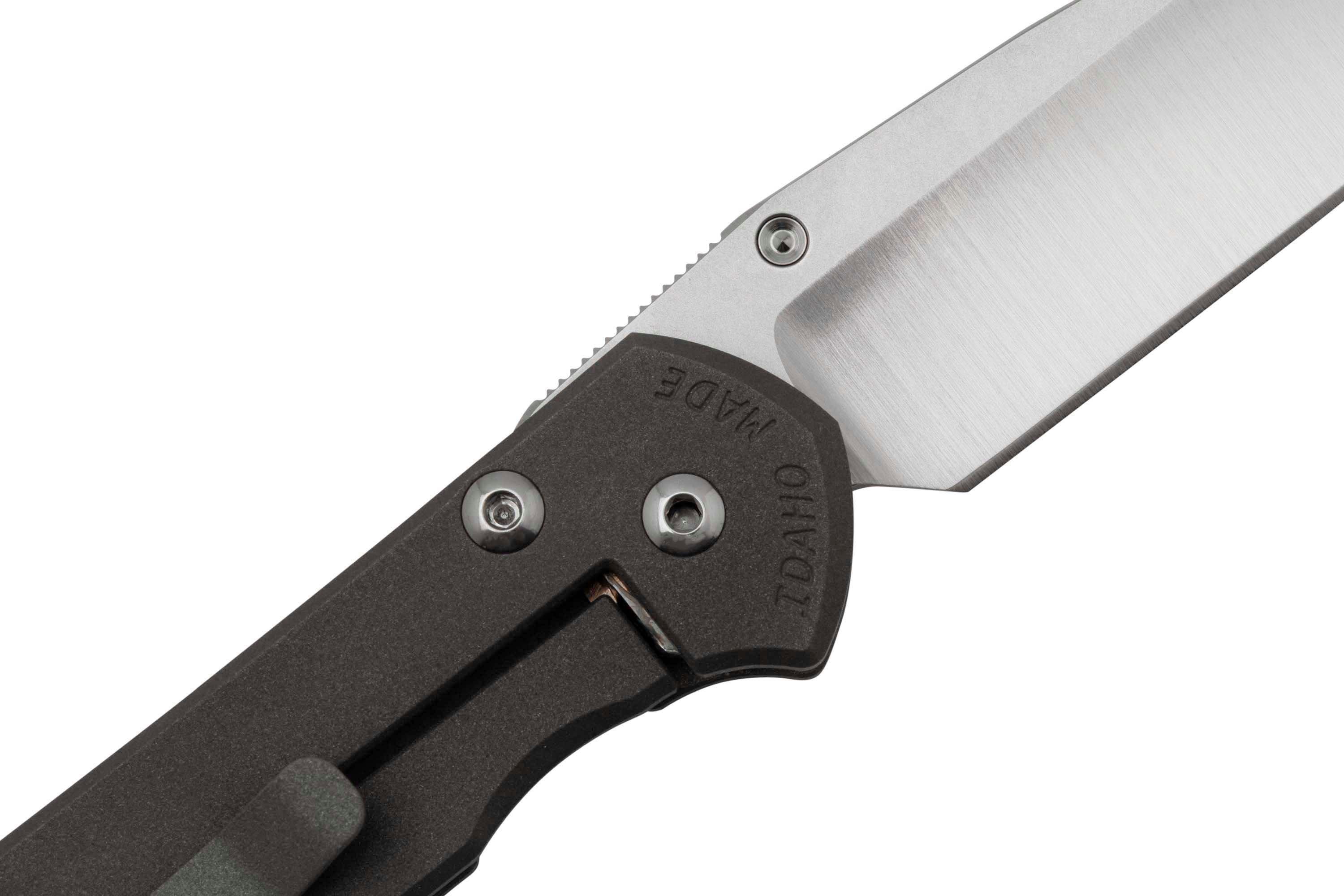 Chris Reeve Small Sebenza 31 Unique Graphic Drop Point 2023 S31-1400-23 ...