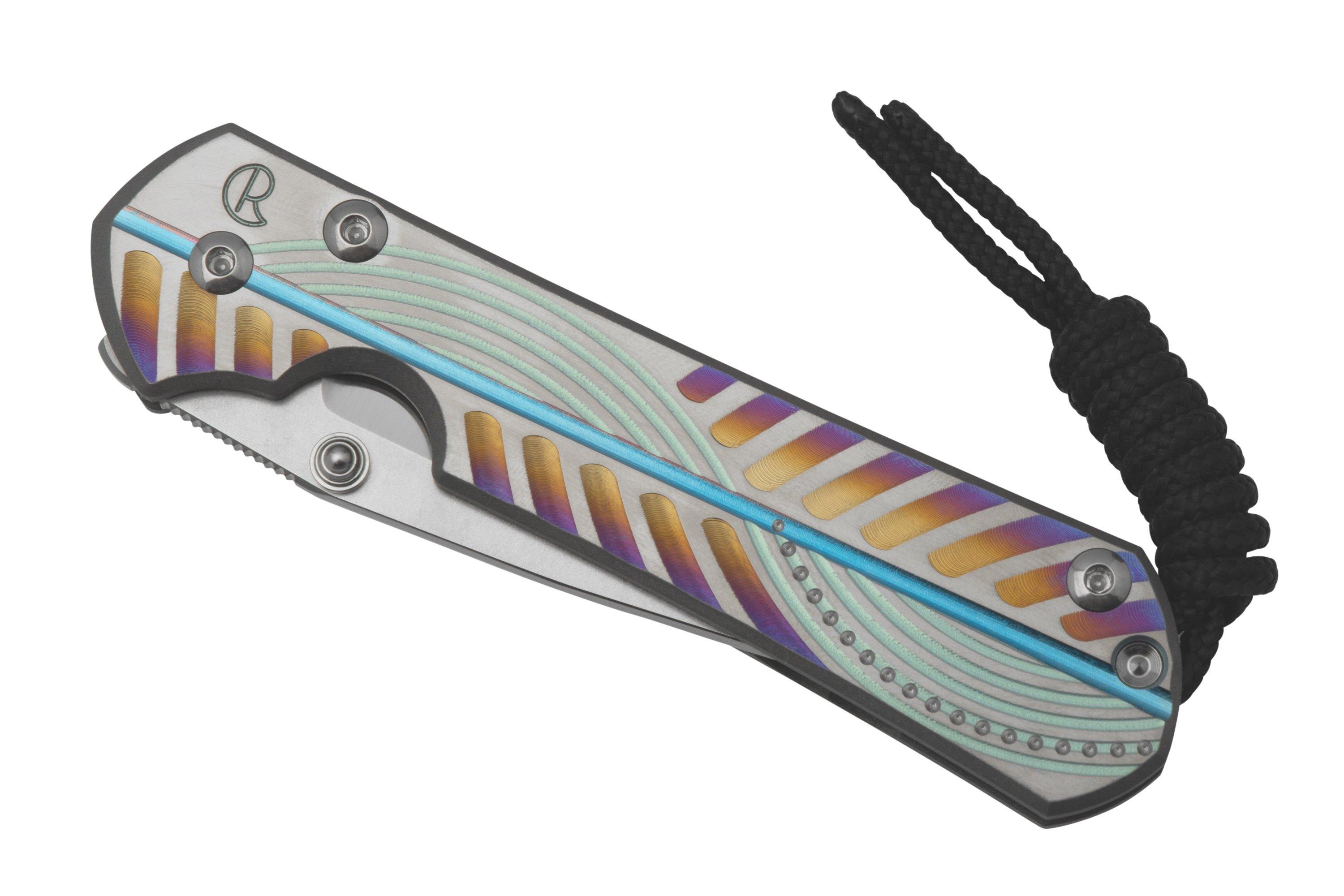 Chris Reeve Small Sebenza 31 Unique Graphic Drop Point 2023 S31-1400-23 ...