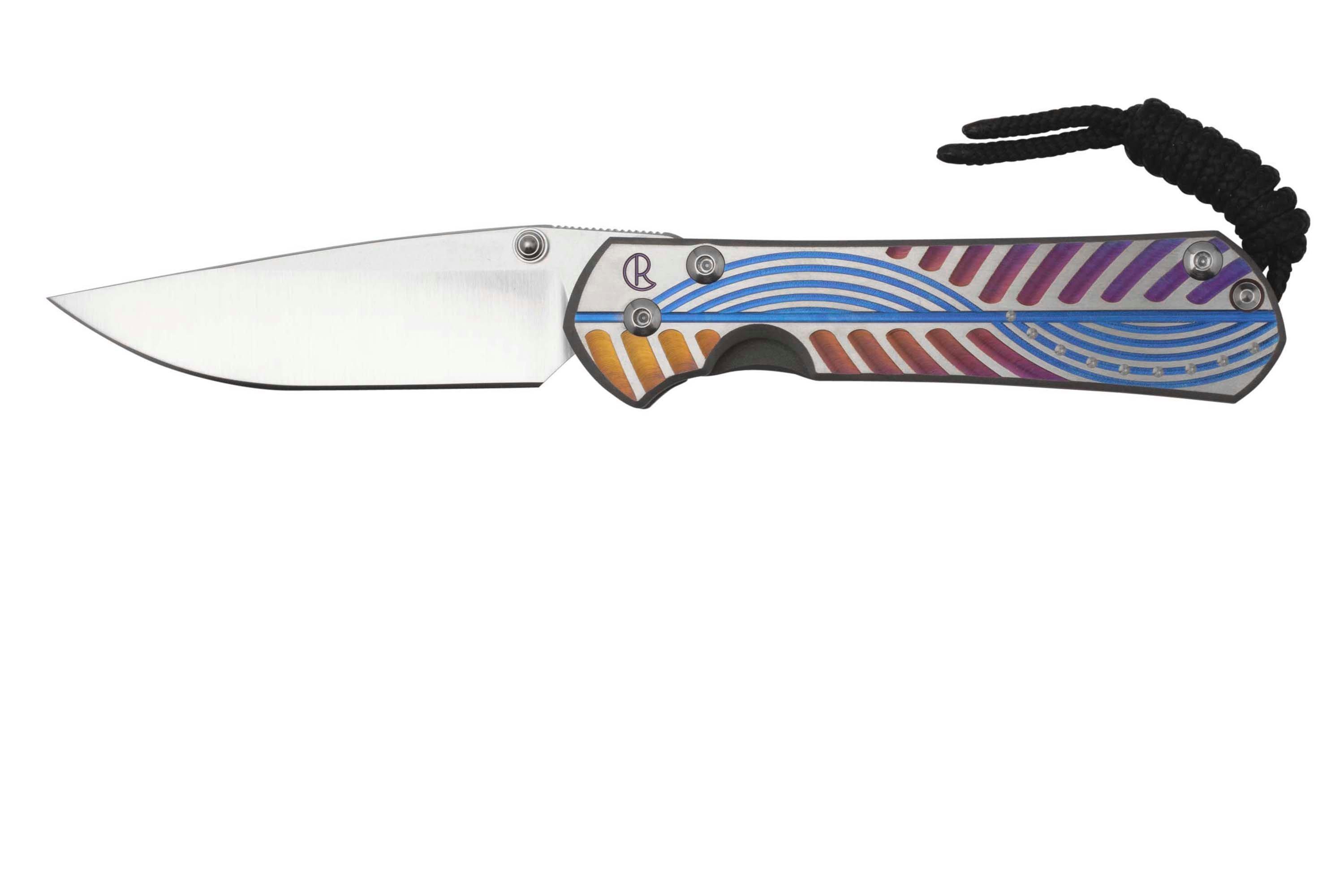 Chris Reeve Small Sebenza 31 Unique Graphic Drop Point 2023 S31-1400-23 ...