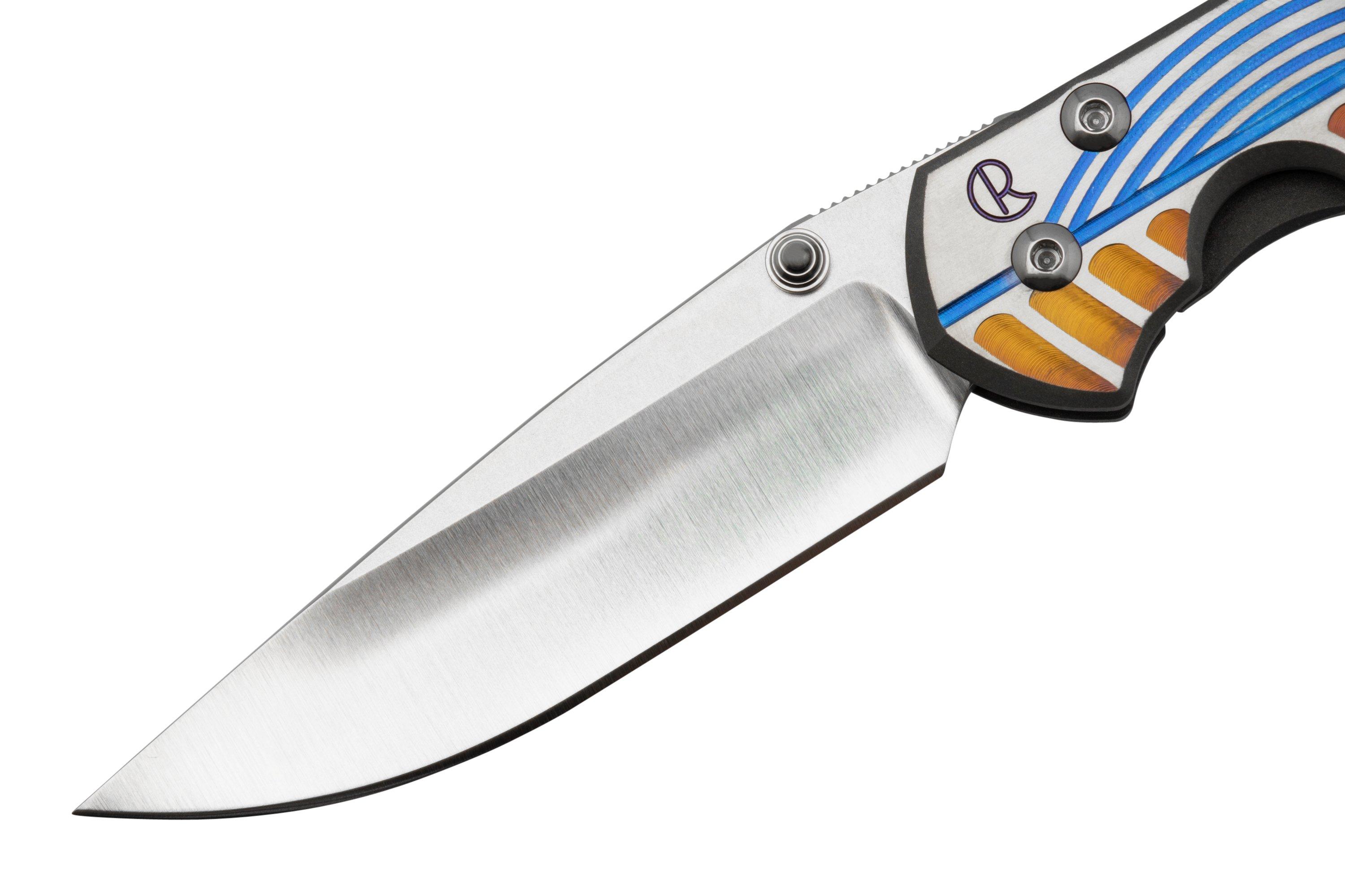 Chris Reeve Small Sebenza 31 Unique Graphic Drop Point 2023 S31-1400-23 ...