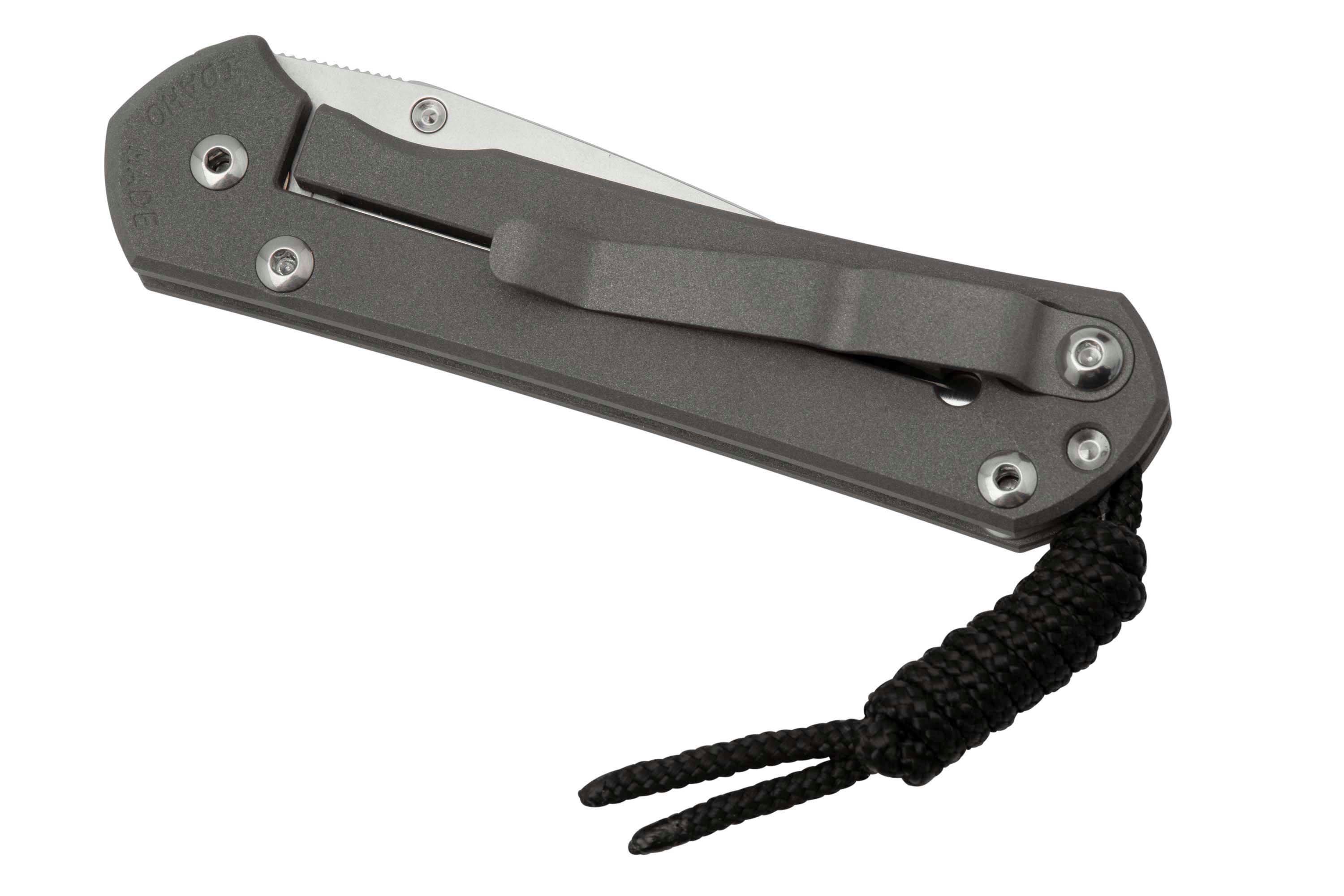 Chris Reeve Small Sebenza 31 Unique Graphic Drop Point 2023 S31-1400-23 ...