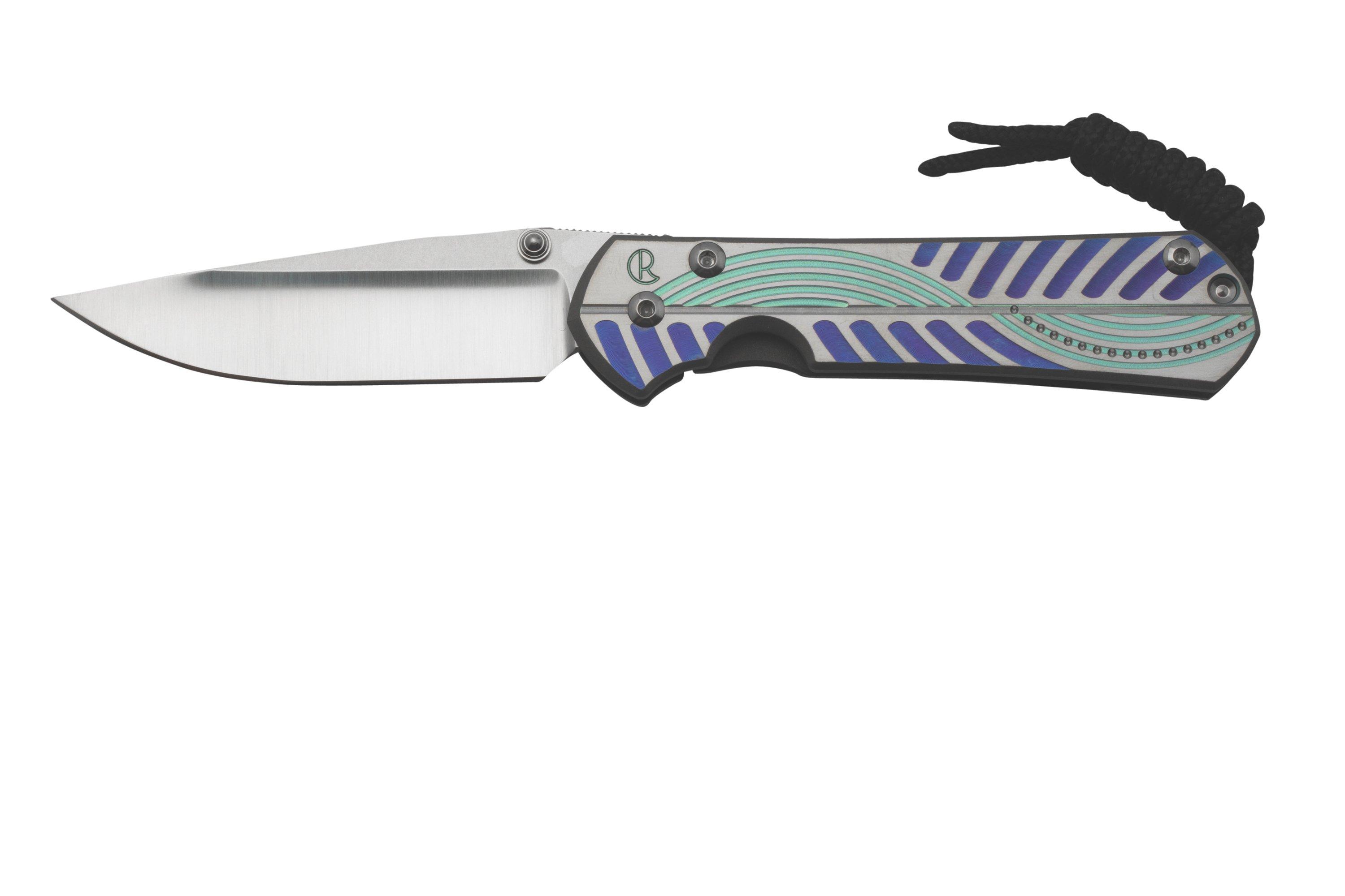 Chris Reeve Small Sebenza 31 Unique Graphic Drop Point 2023 S31-1400-23 ...