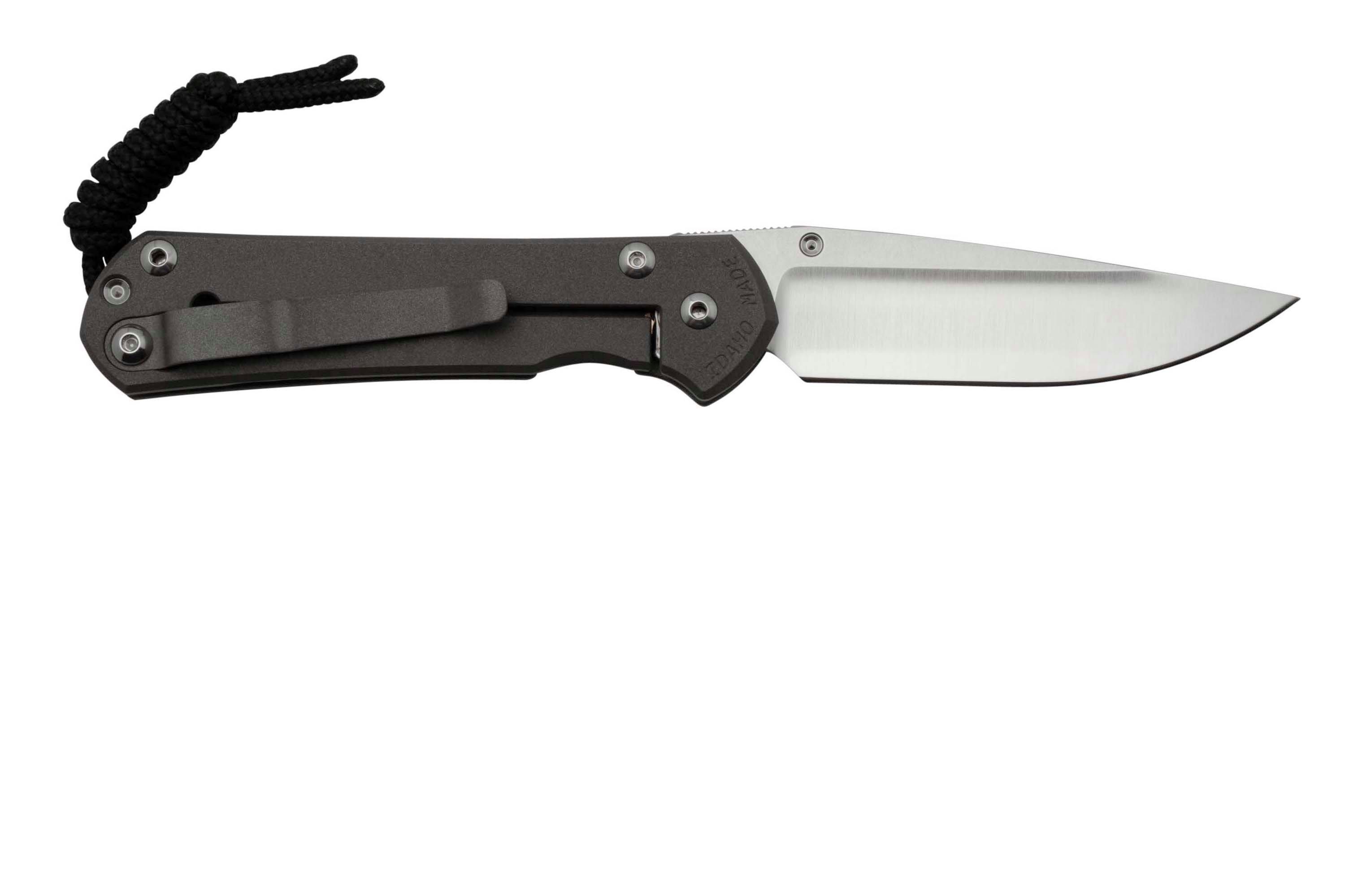 Chris Reeve Small Sebenza 31 Unique Graphic Drop Point 2023 S31-1400-23 ...