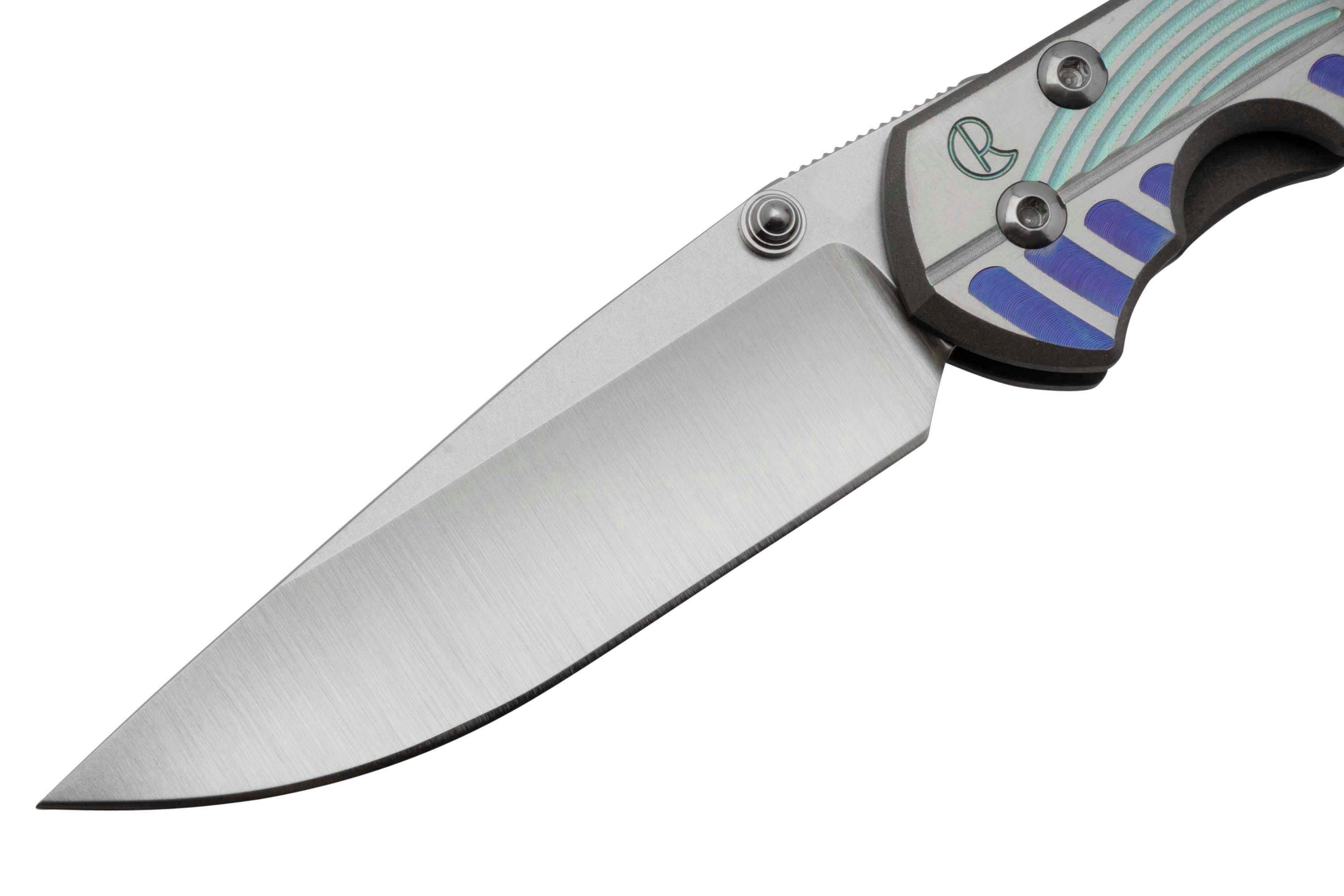 Chris Reeve Small Sebenza 31 Unique Graphic Drop Point 2023 S31-1400-23 ...