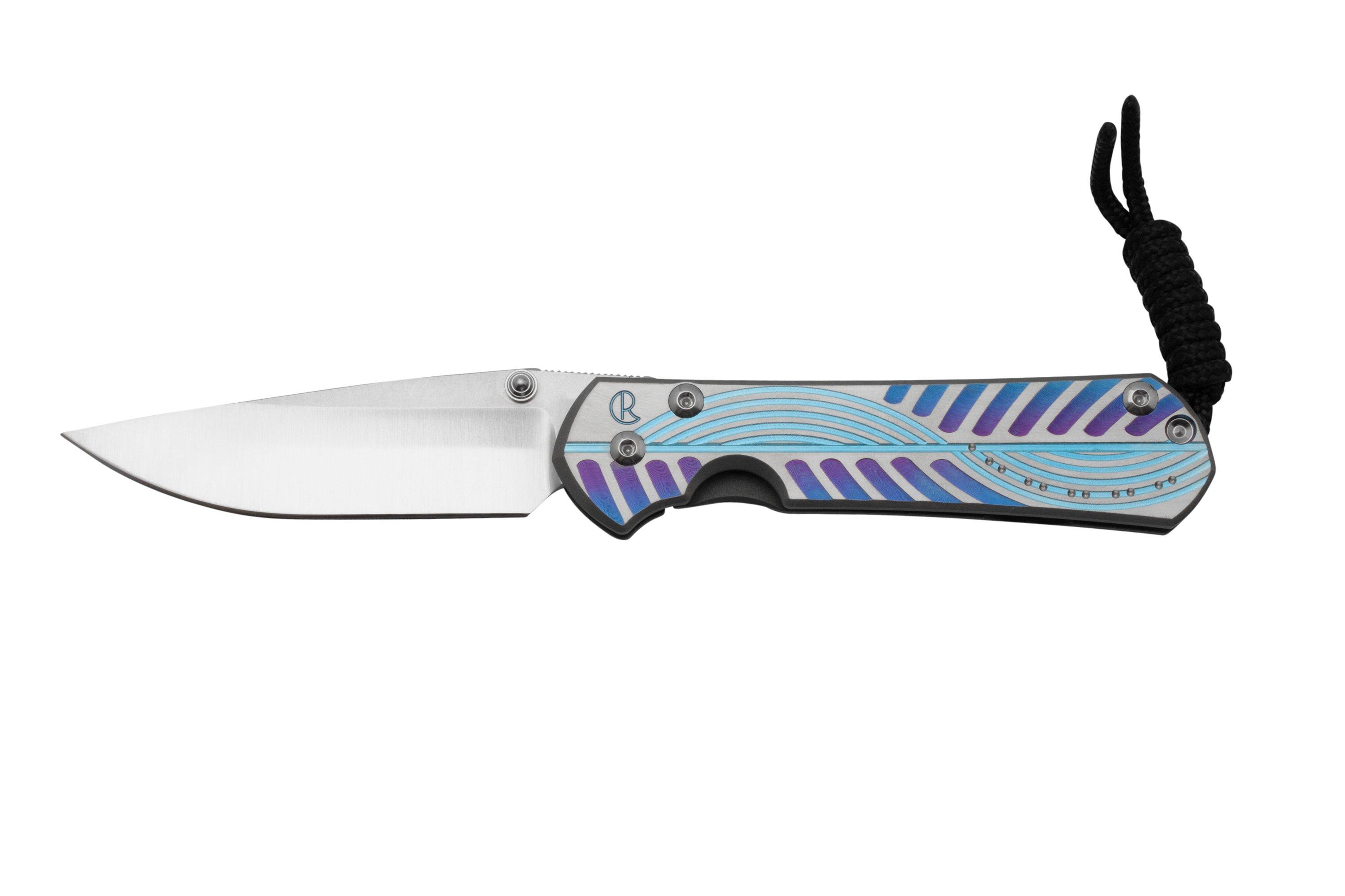 Chris Reeve Small Sebenza 31 Unique Graphic Drop Point 2023 S31-1400-23 ...