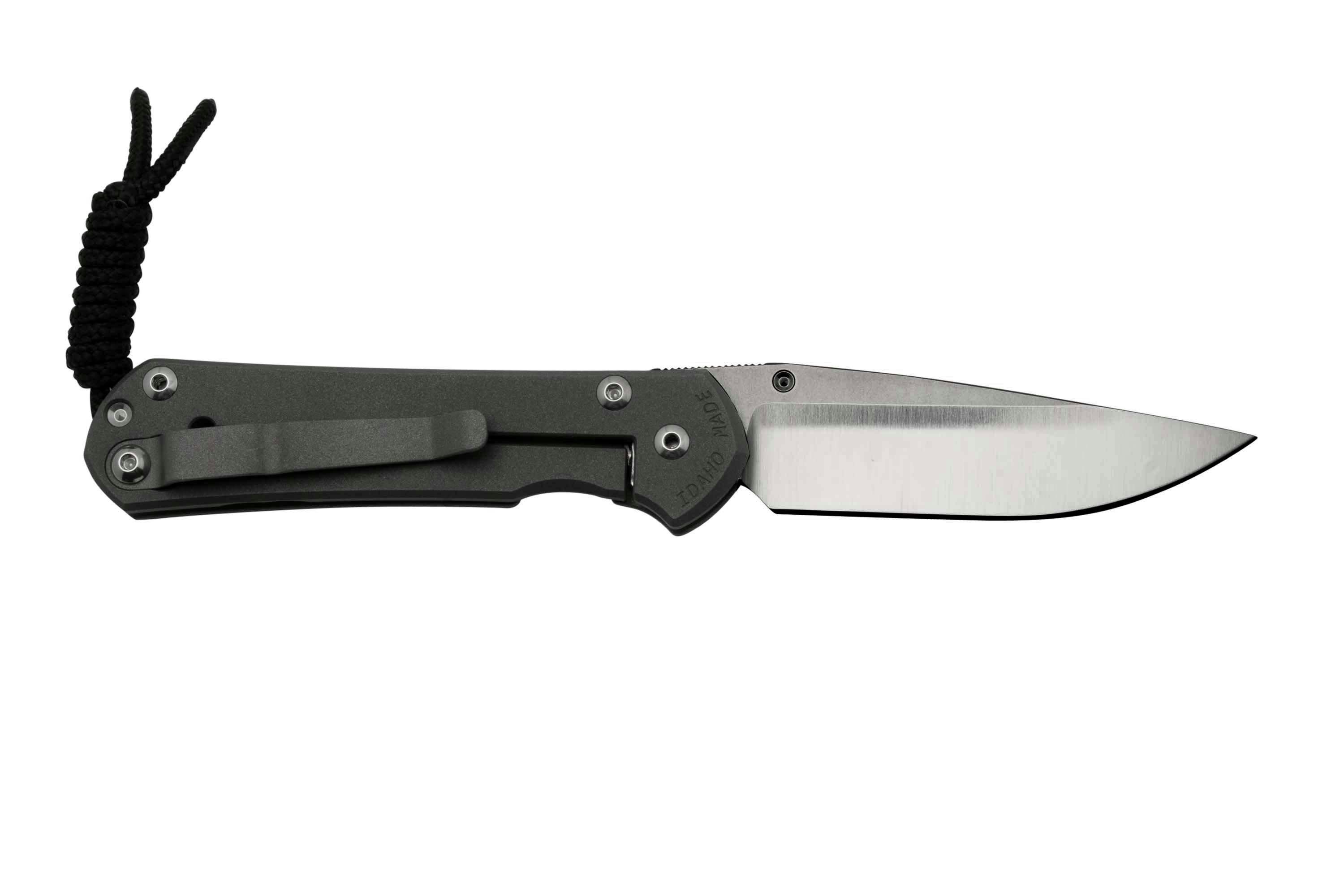 Chris Reeve Small Sebenza 31 Unique Graphic Drop Point 2023 S31-1400-23 ...