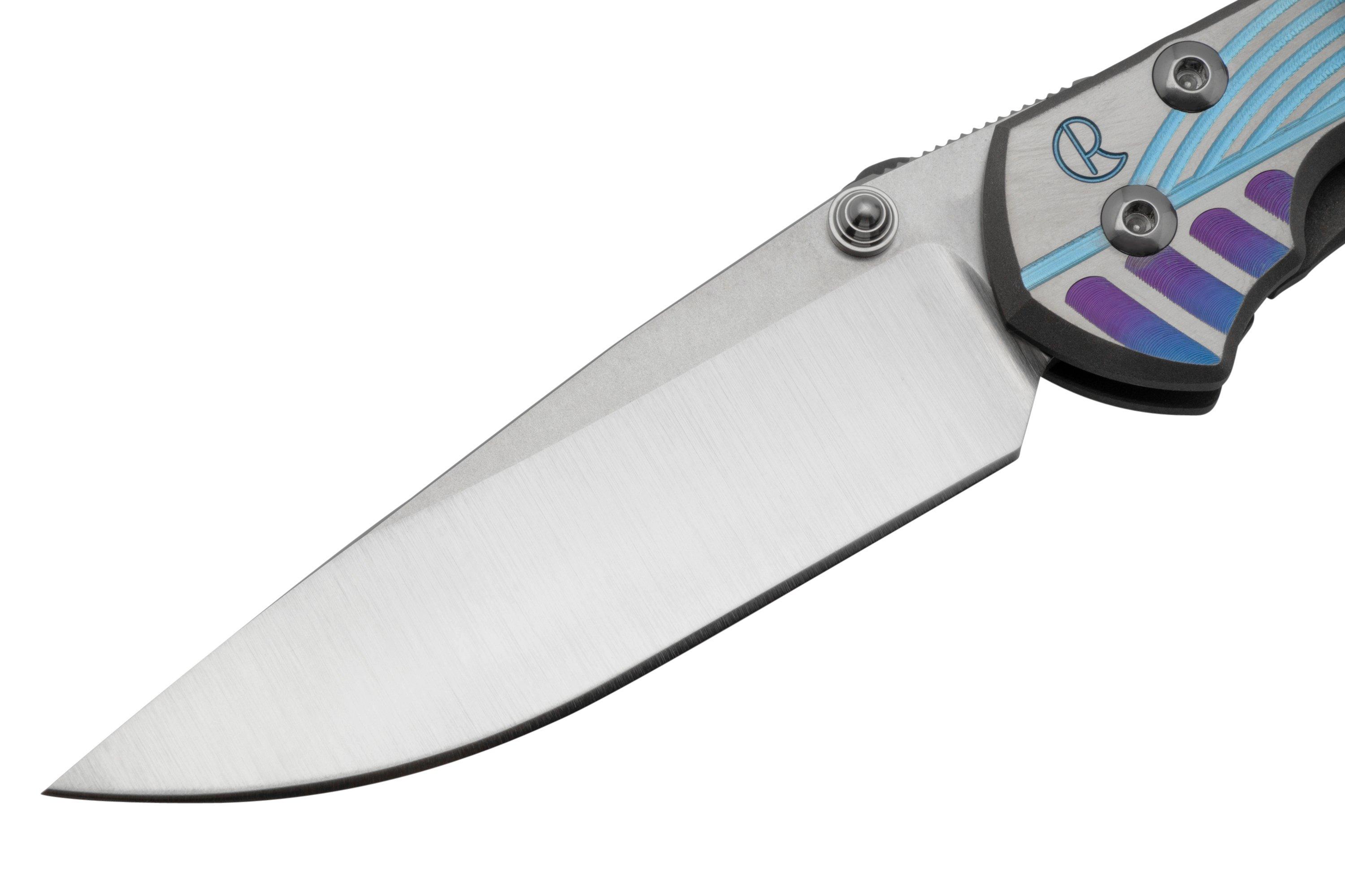 Chris Reeve Small Sebenza 31 Unique Graphic Drop Point 2023 S31-1400-23 ...