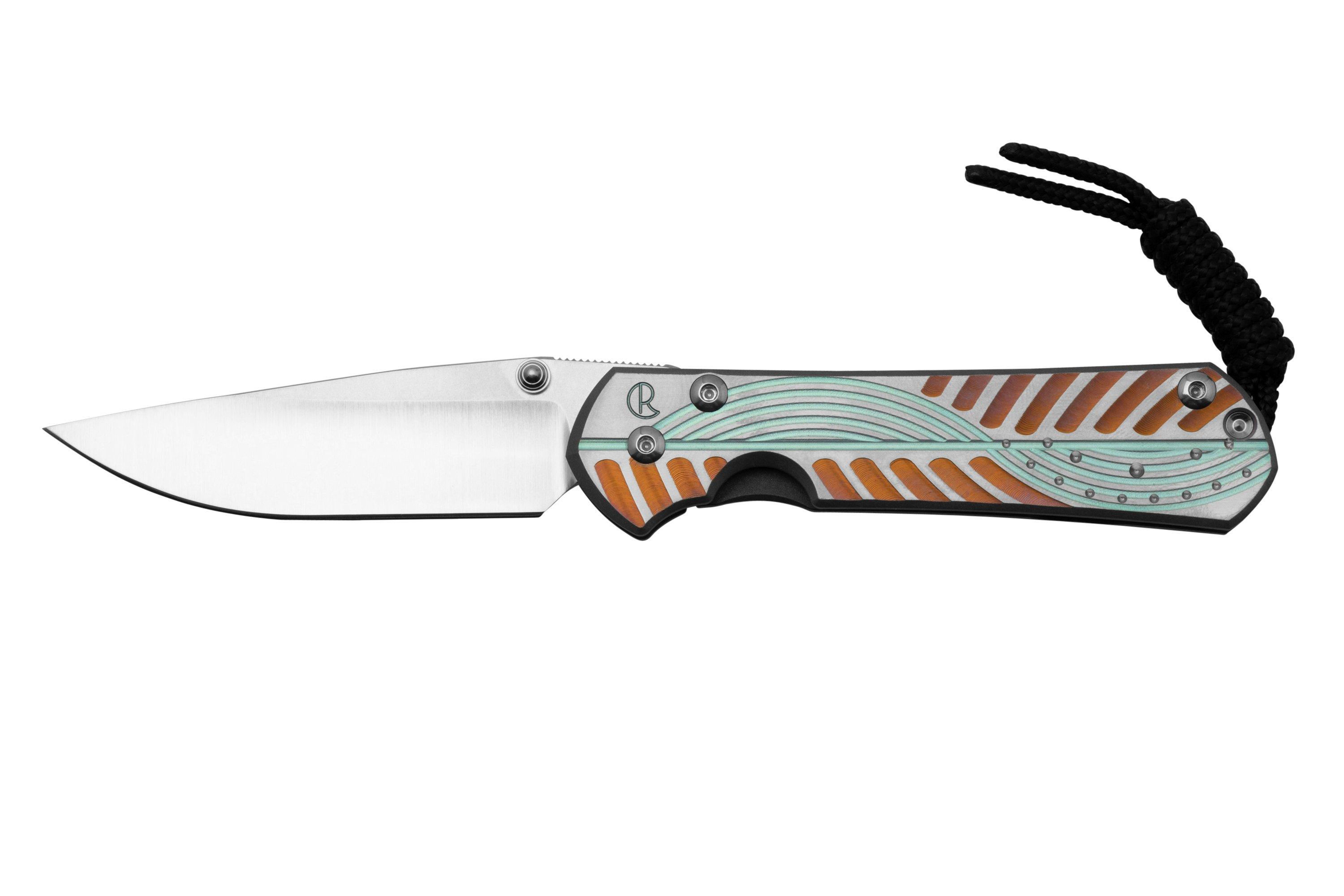 Chris Reeve Small Sebenza 31 Unique Graphic Drop Point 2023 S31-1400-23 ...