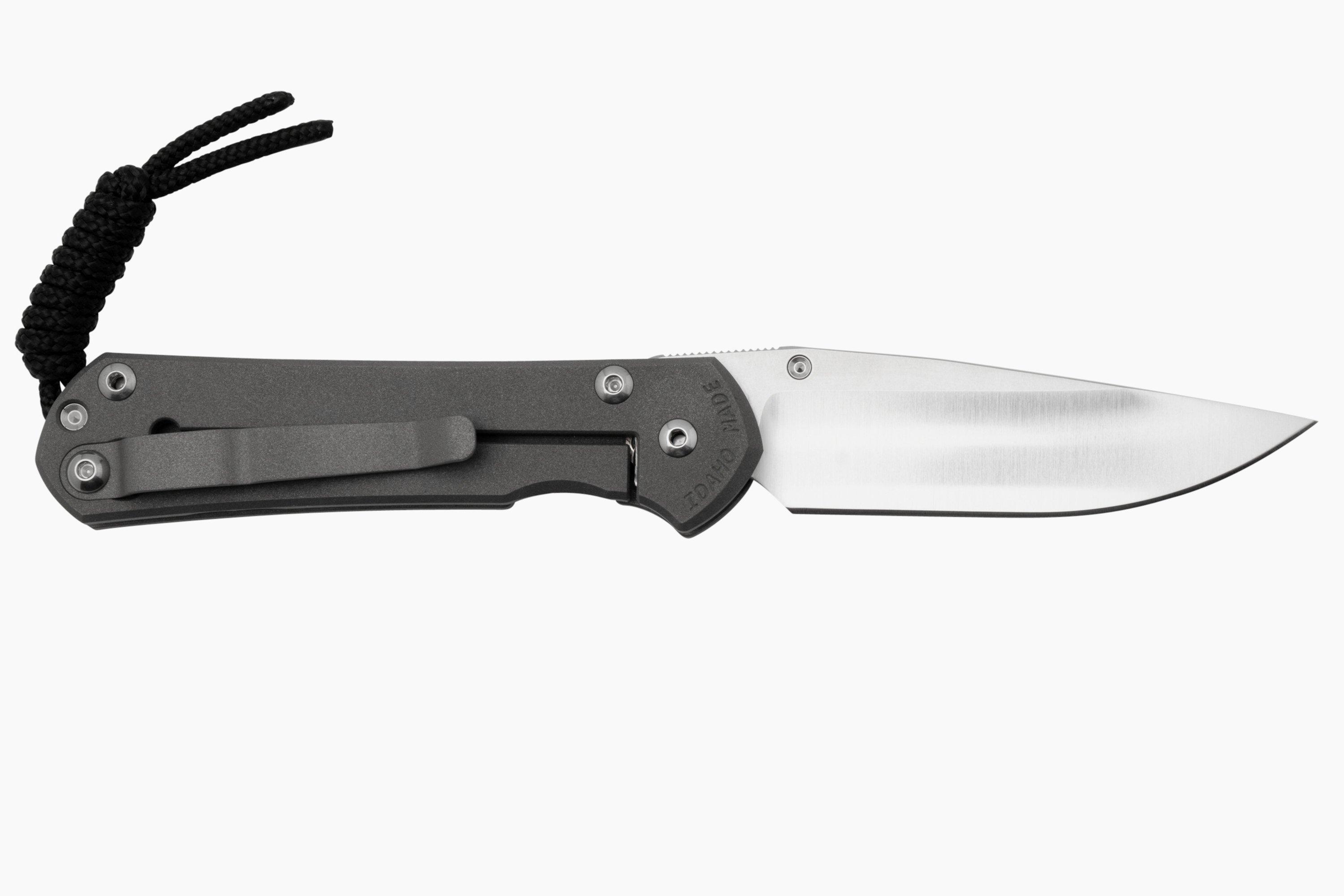 Chris Reeve Small Sebenza 31 Unique Graphic Drop Point 2023 S31-1400-23 ...