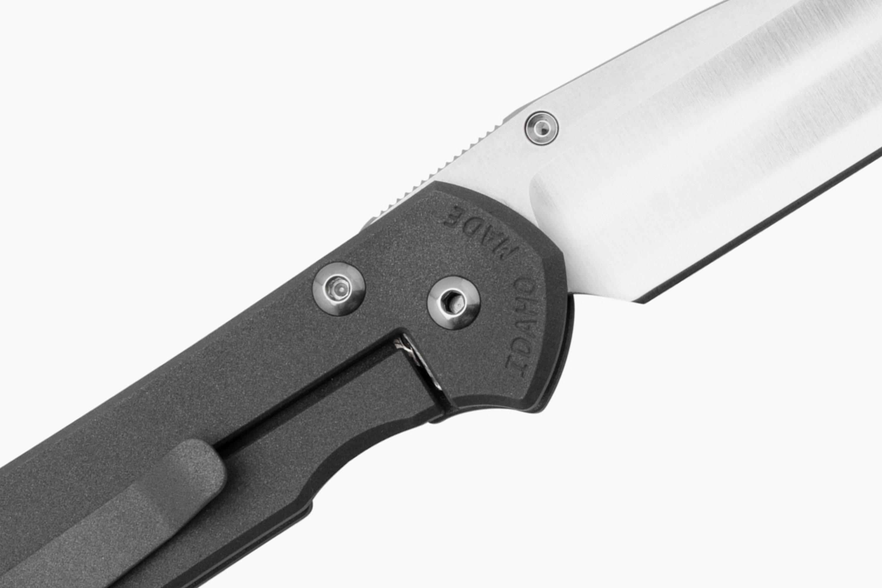 Chris Reeve Small Sebenza 31 Unique Graphic Drop Point 2023 S31-1400-23 ...