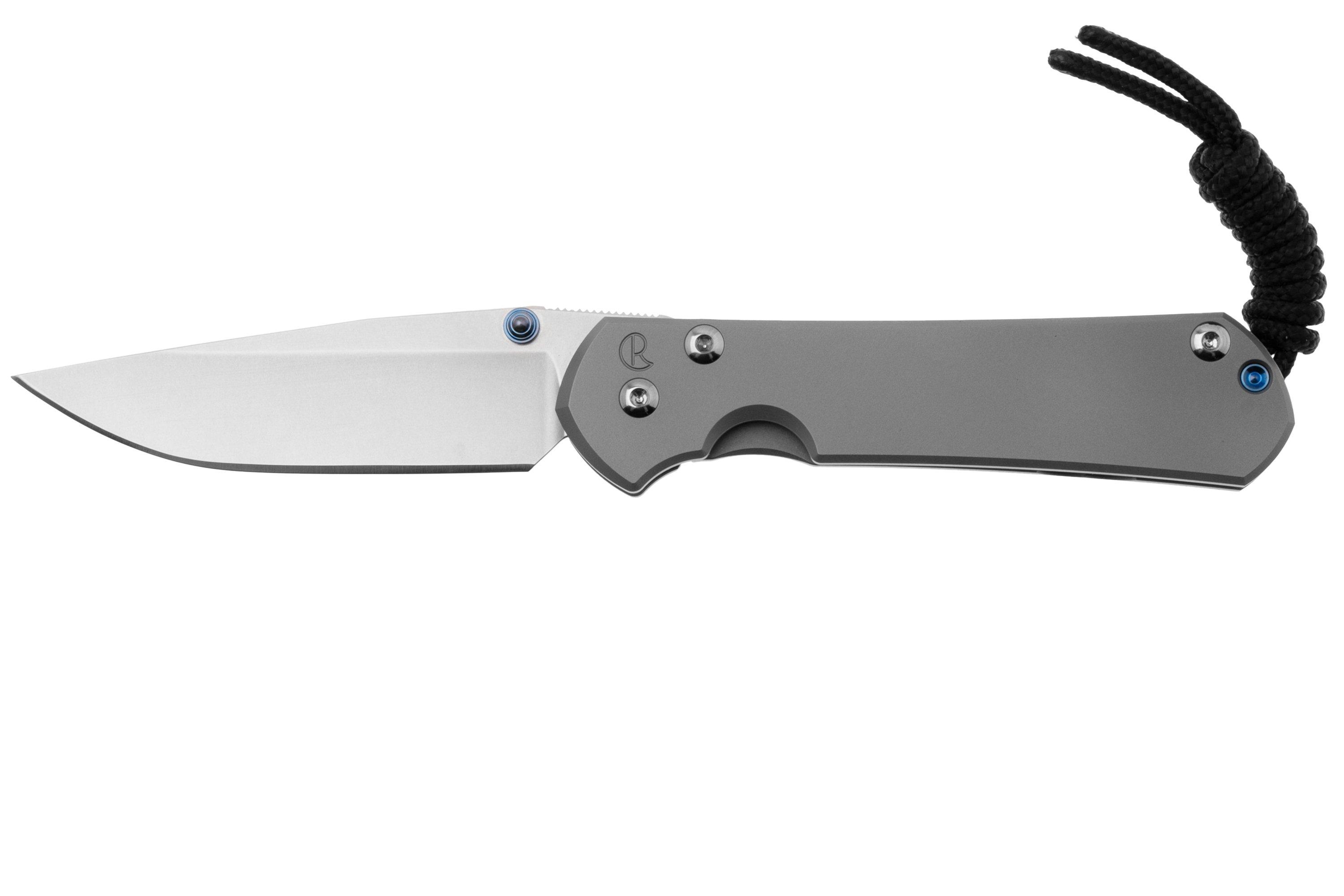 Chris Reeve Small Sebenza 31 MagnaCut Drop Point, Plain, Glass Blasted ...