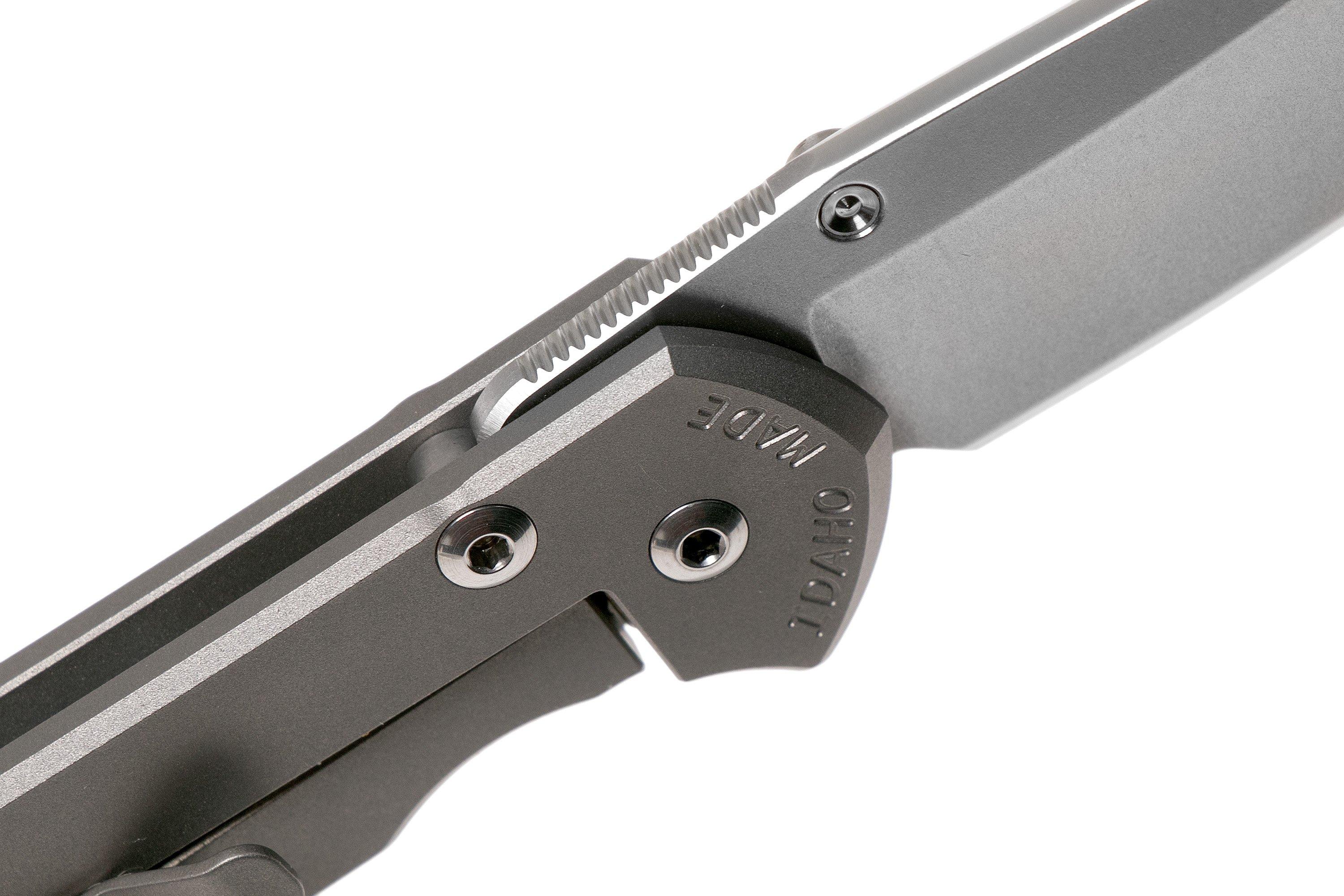 Chris Reeve Sebenza 31 Small Plain Glass Blasted Insingo S31-1685 ...