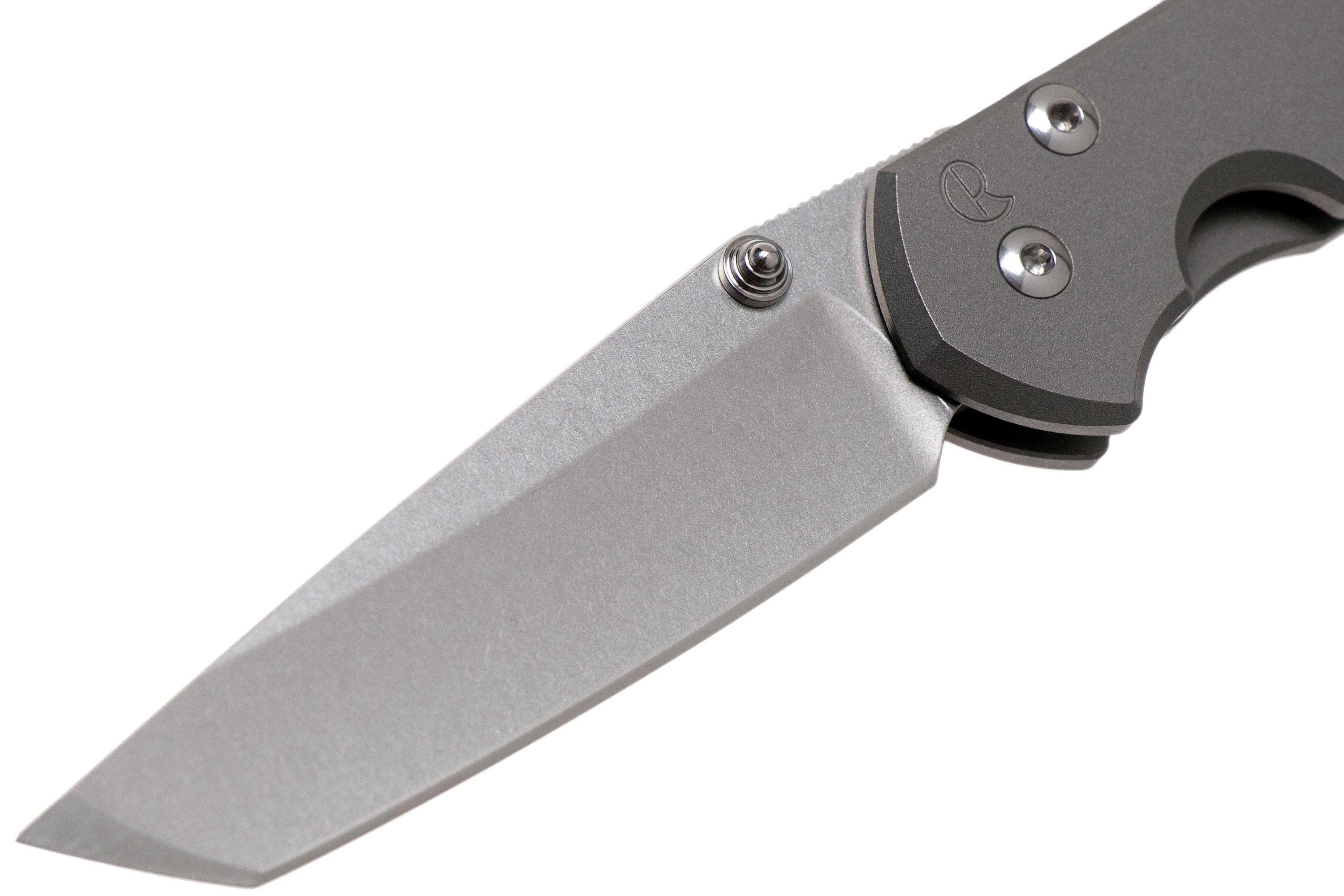 Chris Reeve Sebenza 31 Small Plain Glass Blasted Tanto S31-1687 pocket ...