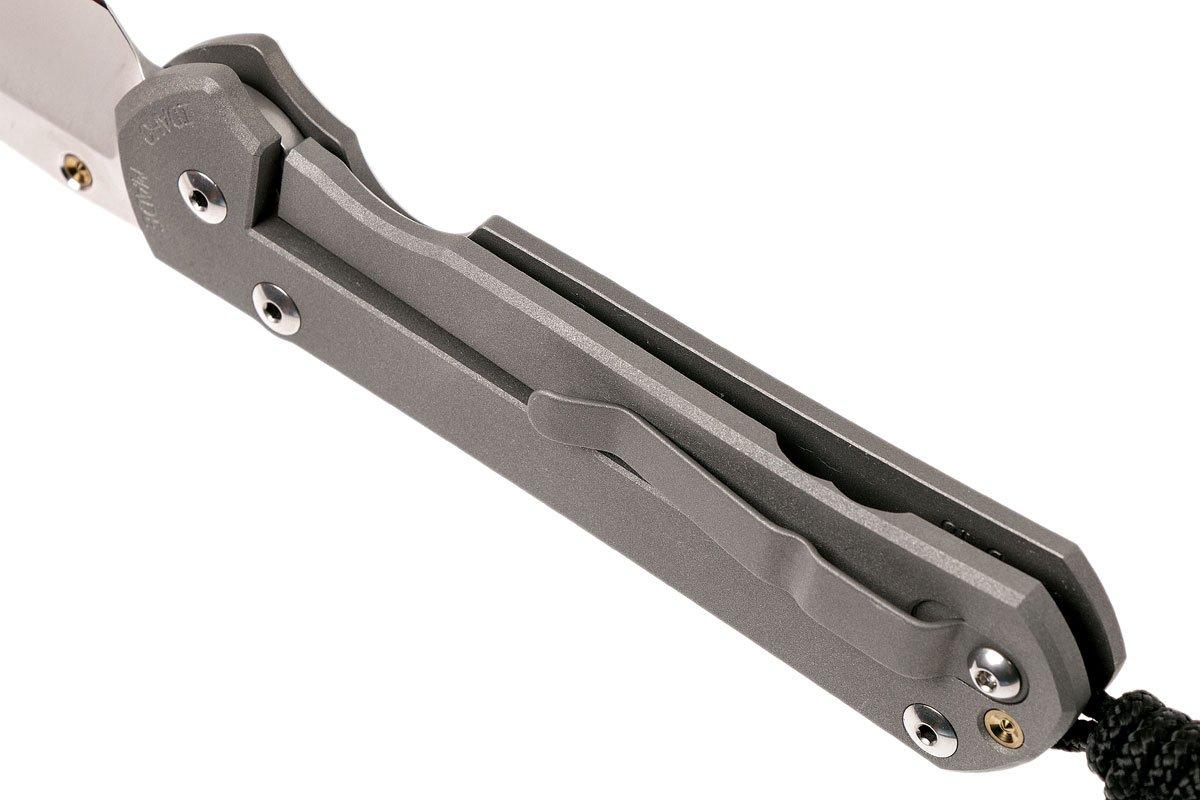 Chris Reeve Large Sebenza 21 Leopard CGG L21-1048 pocket knife ...