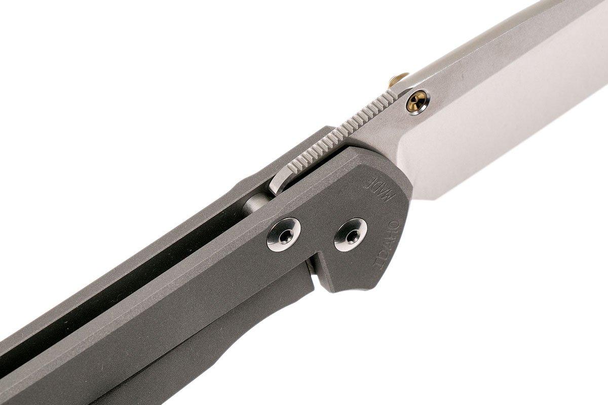 Chris Reeve Large Sebenza 21 Leopard CGG L21-1048 pocket knife ...