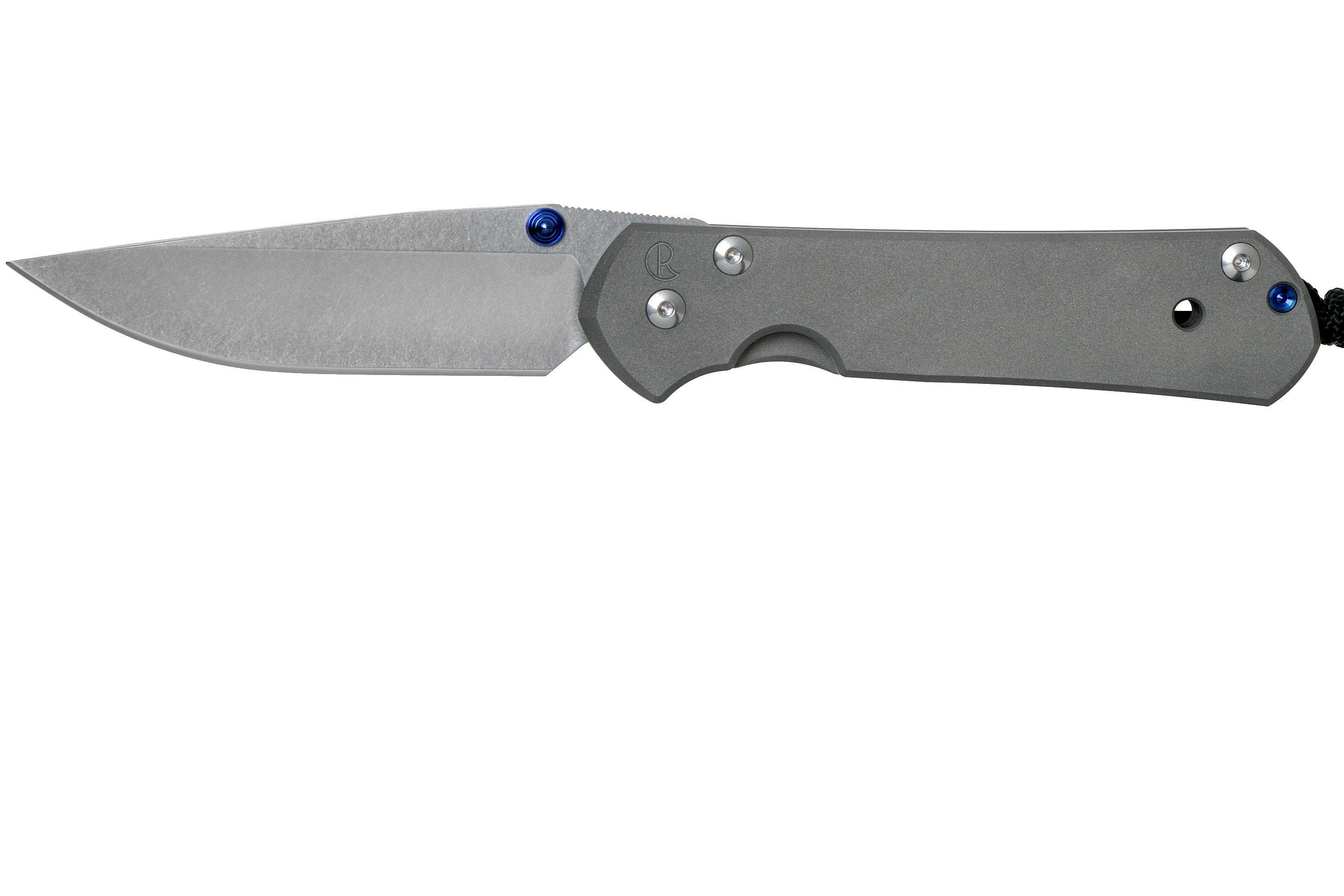 Chris Reeve Large Sebenza 21 L21-1000 pocket knife | Advantageously ...