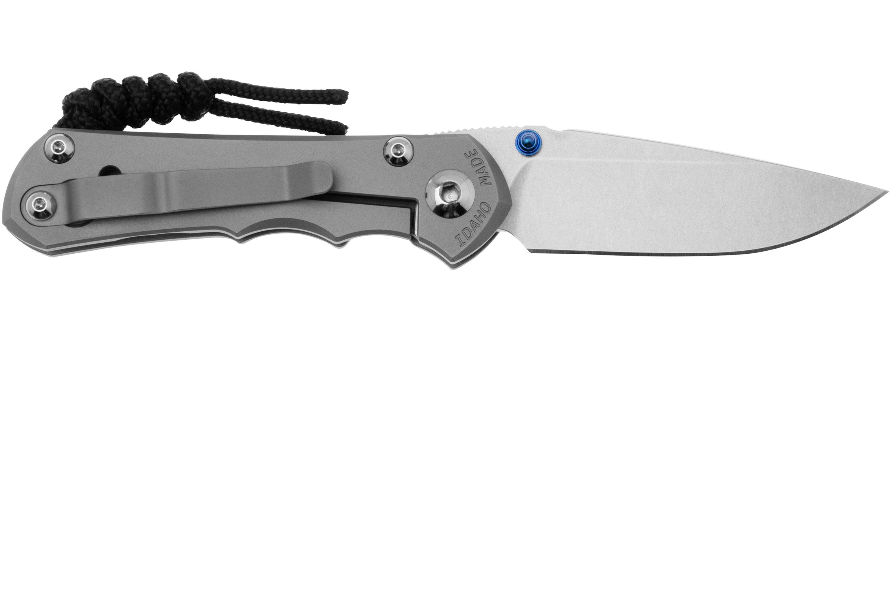 Chris Reeve Small Inkosi SIN-1108 CPM MagnaCut Drop Point, Plain Glass ...