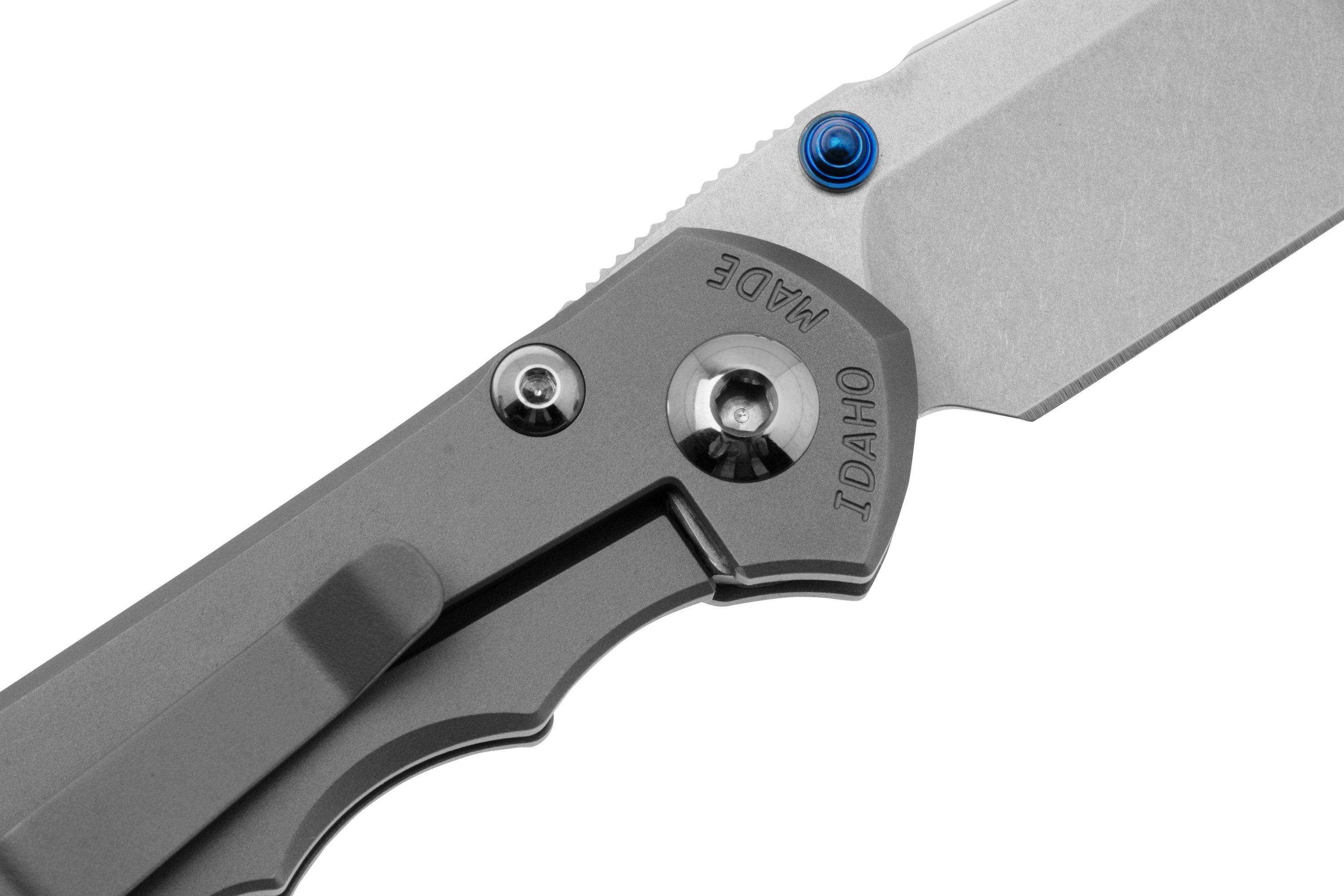 Chris Reeve Small Inkosi SIN-1108 CPM MagnaCut Drop Point, Plain Glass ...