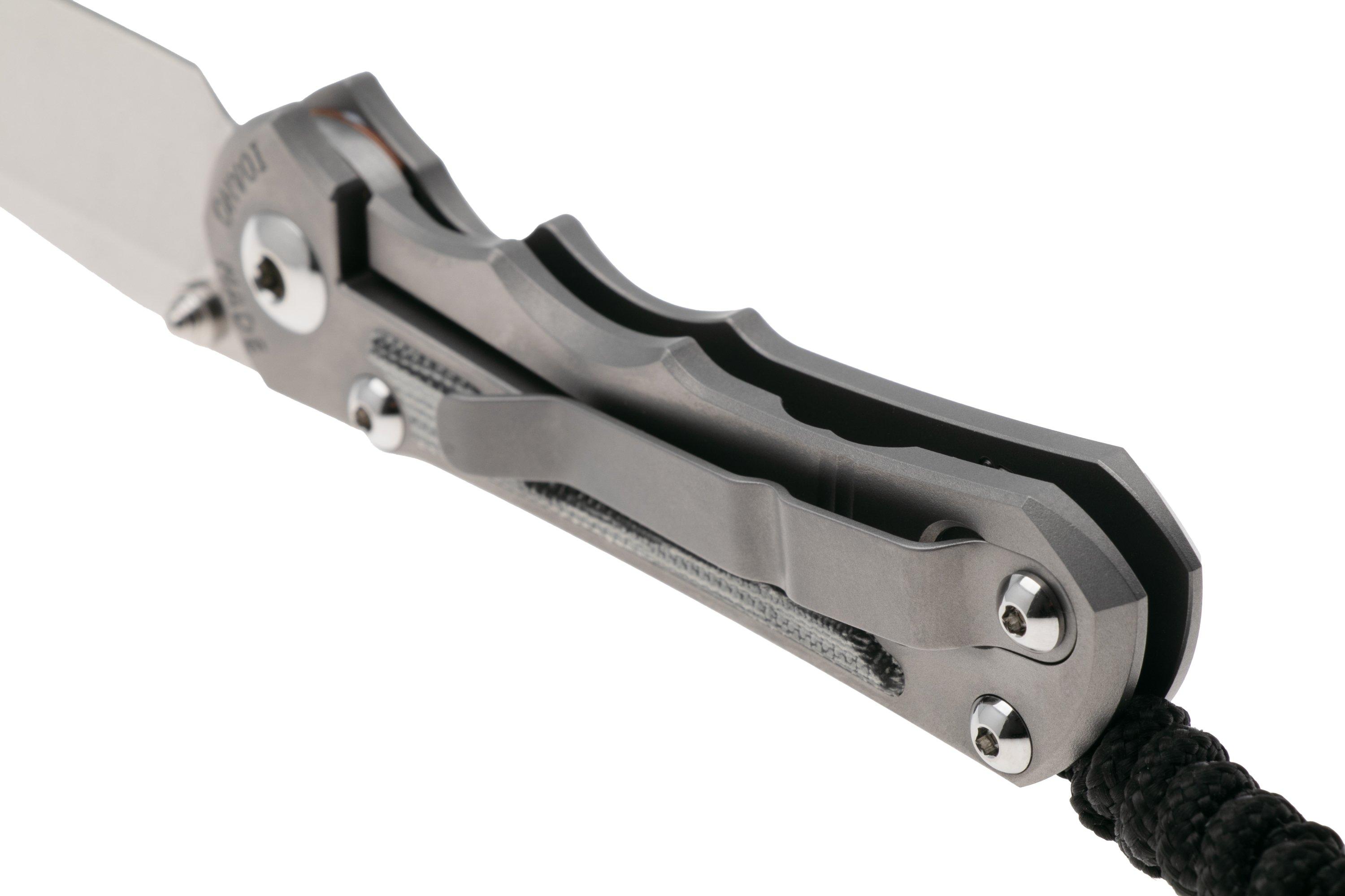 Chris Reeve Small Inkosi SIN-1116 CPM MagnaCut Drop Point, Glass ...