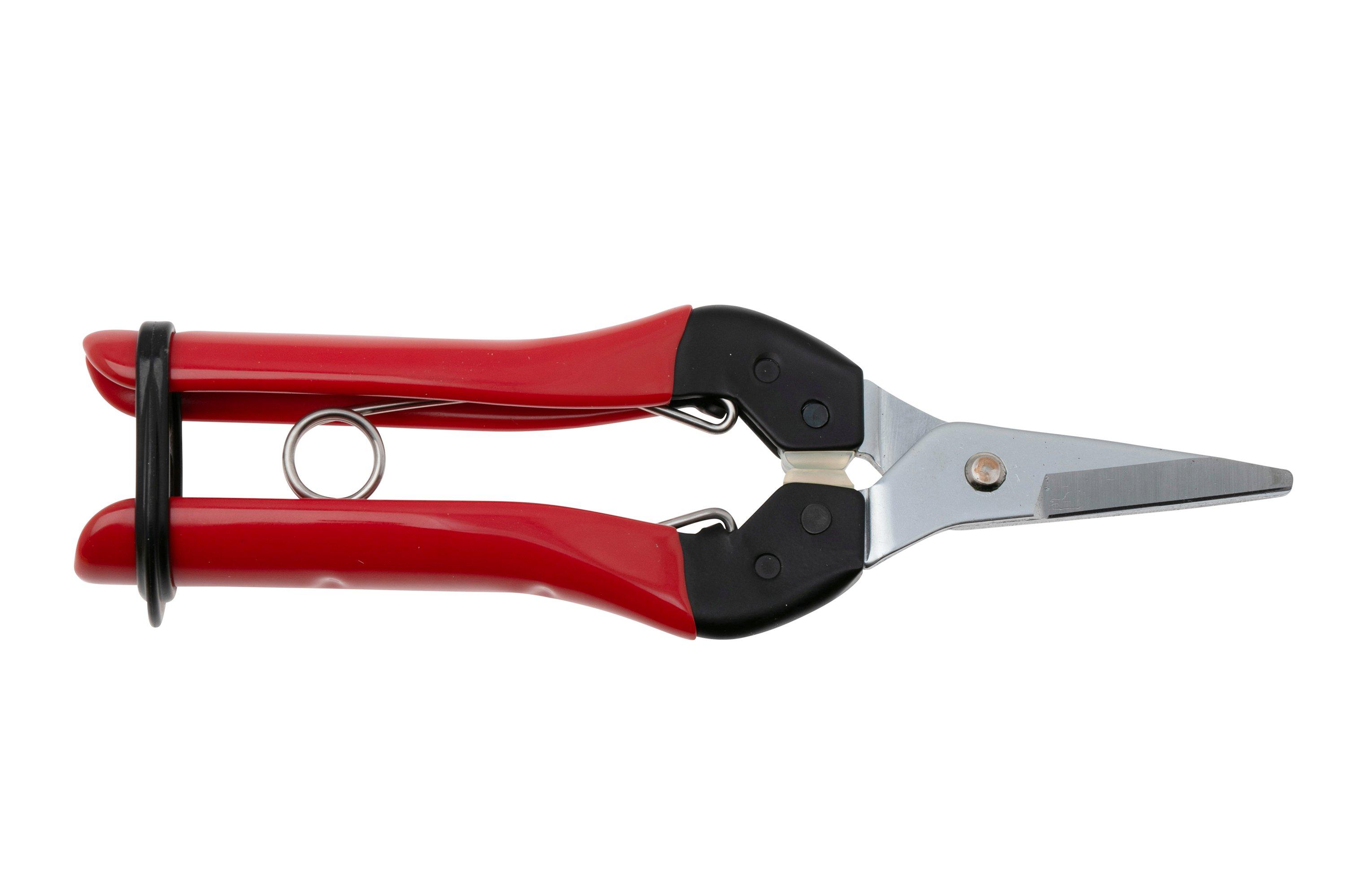 Felco 321 fruit and floral scissors | Advantageously shopping at Knivesandtools.dk
