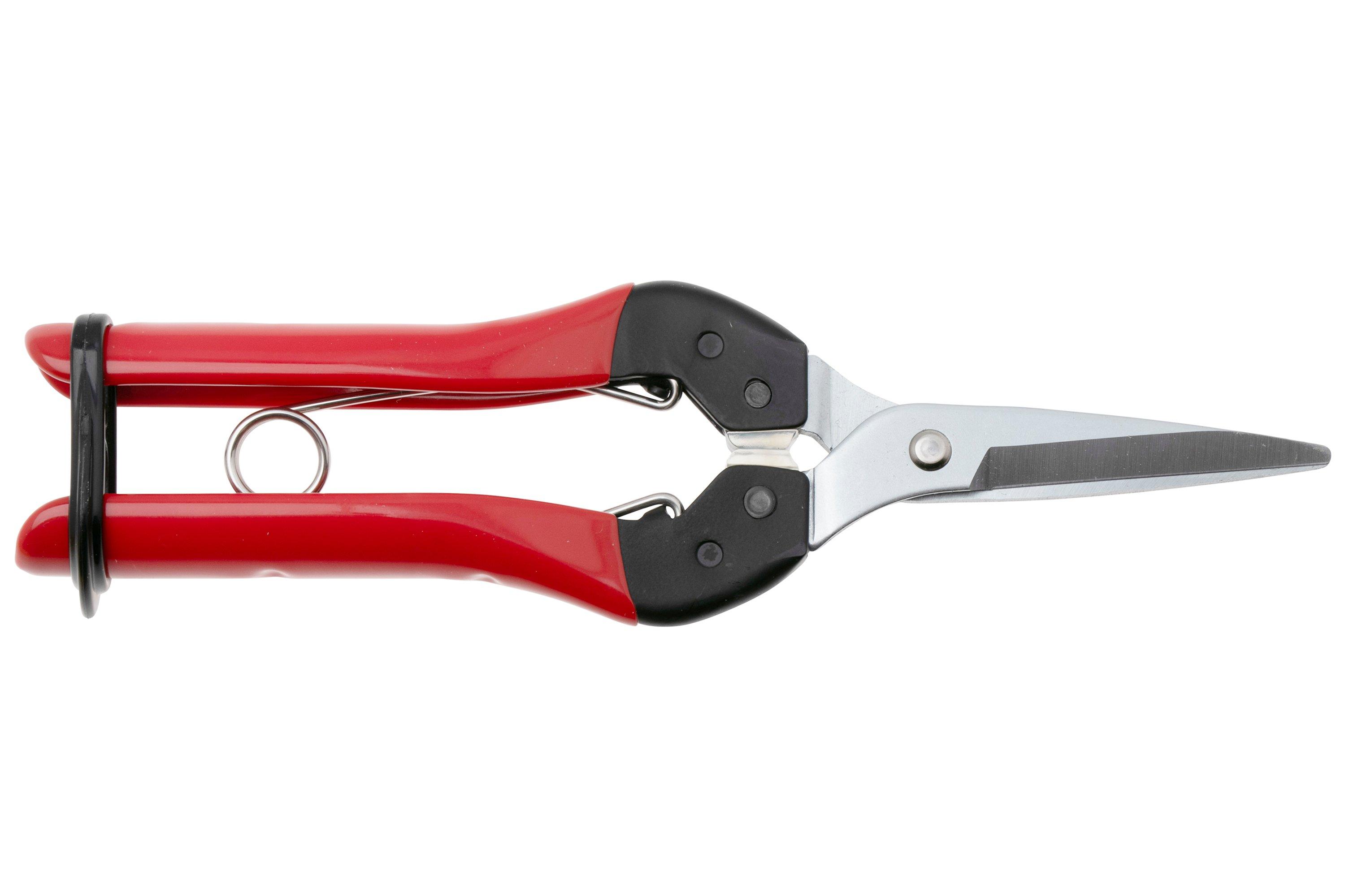 Felco 322 Ernteschere, Leseschere, Blumenschere, Gartenschere ...