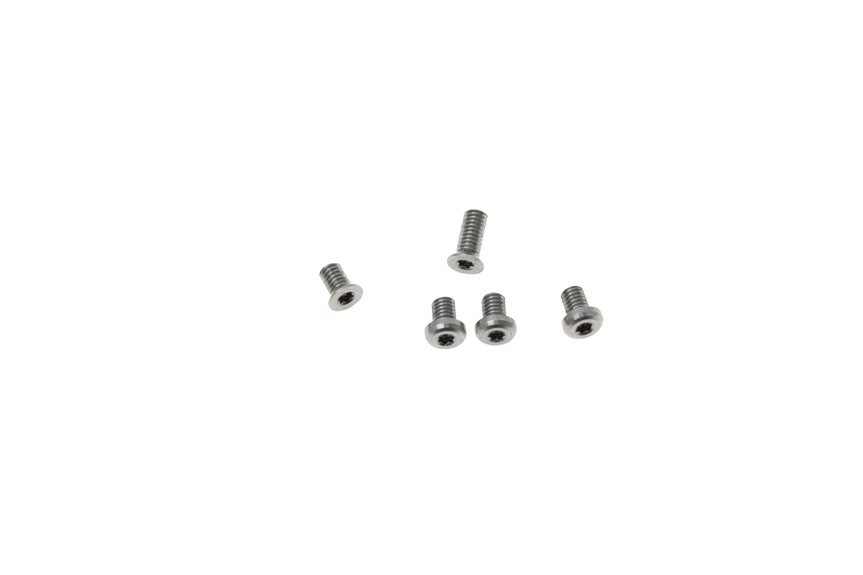 Flytanium Arcade Screw Set 1284S Satin Titanium | Advantageously ...