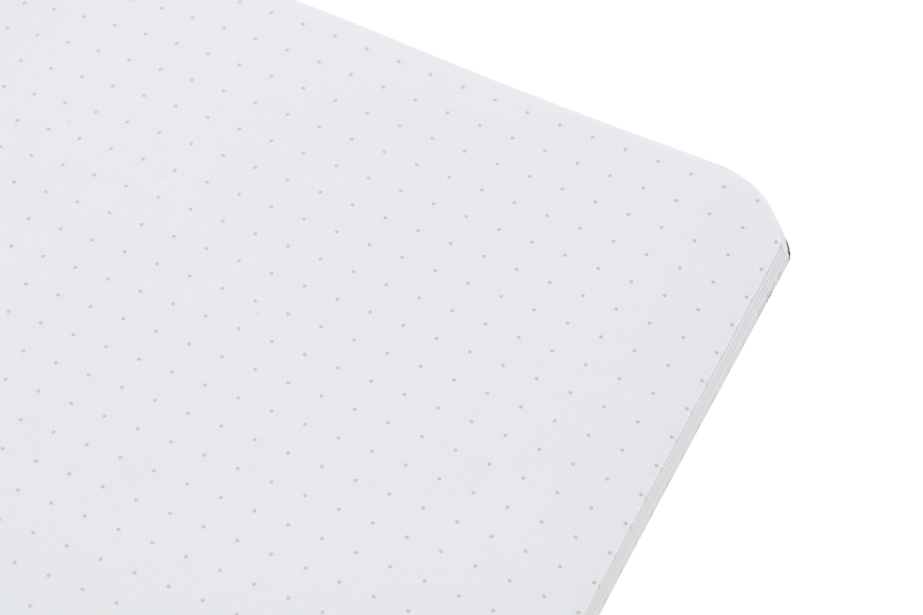 Field Notes Pitch Black Notebook FN-35 Dot-Graph 2-Pack, notebooks ...