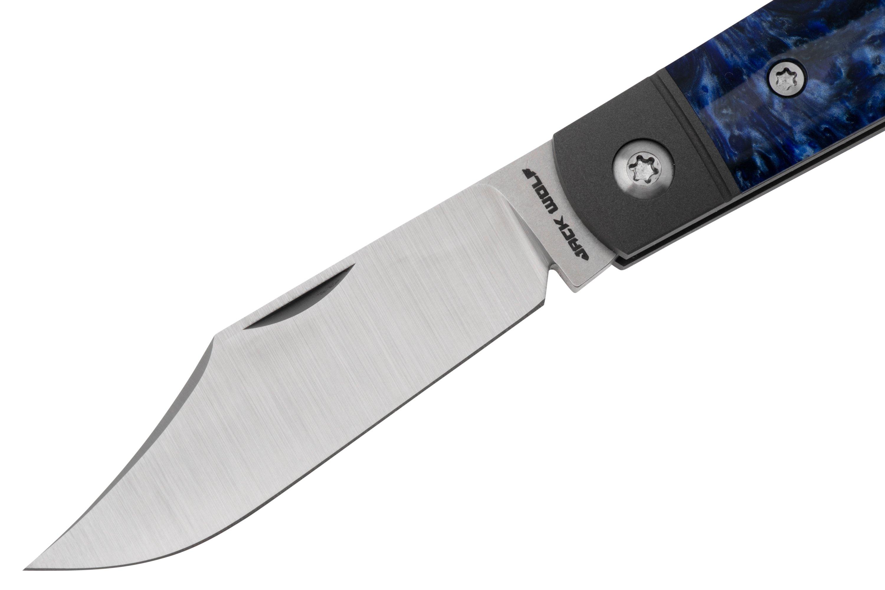 Jack Wolf Little Bro Jack LILBR-01-KIR-CL Kirinite Crystal Lake, slipjoint zakmes | Voordelig ...