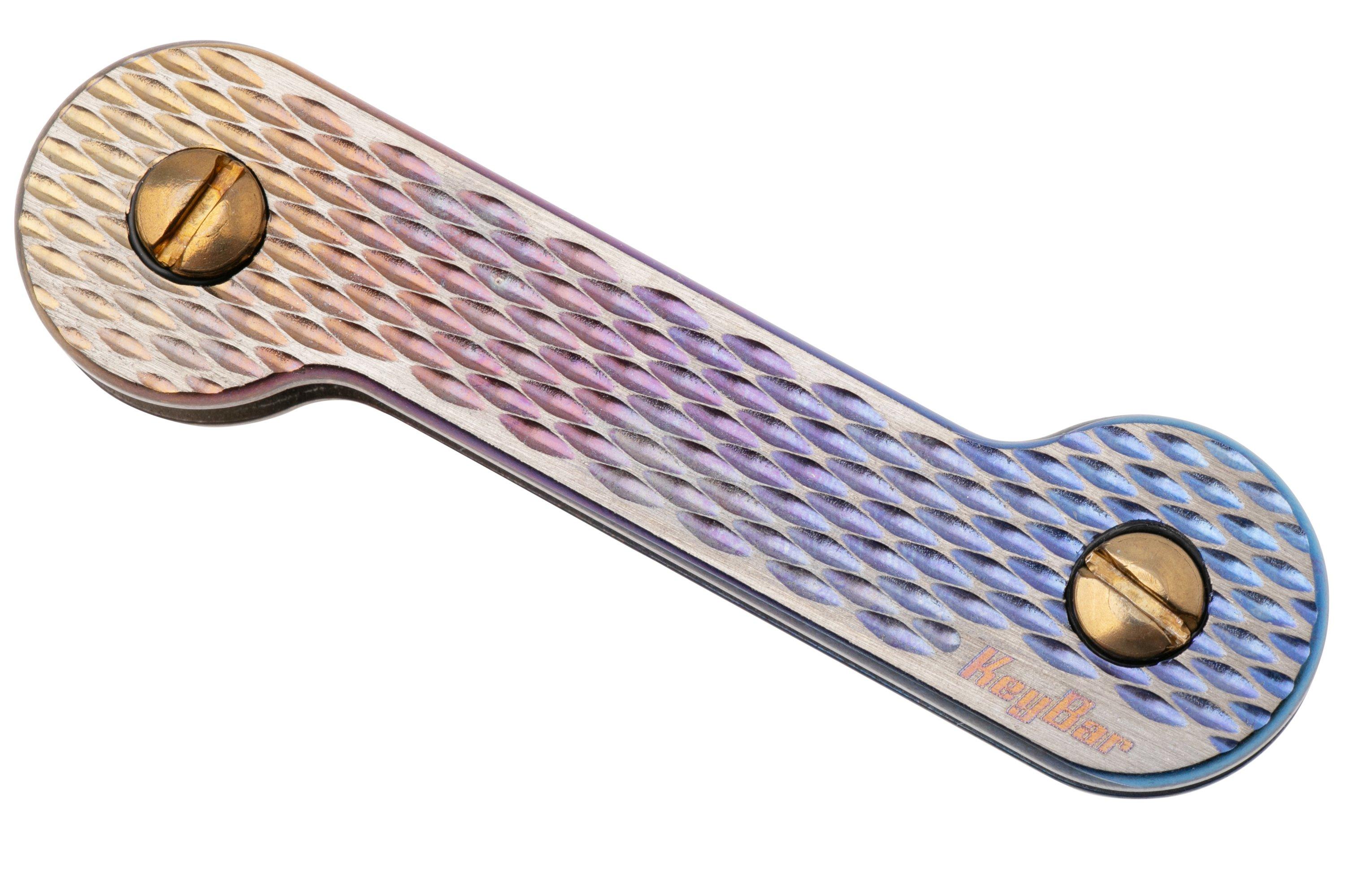 KeyBar Titanium Scales KBR256, key organiser | Advantageously shopping ...