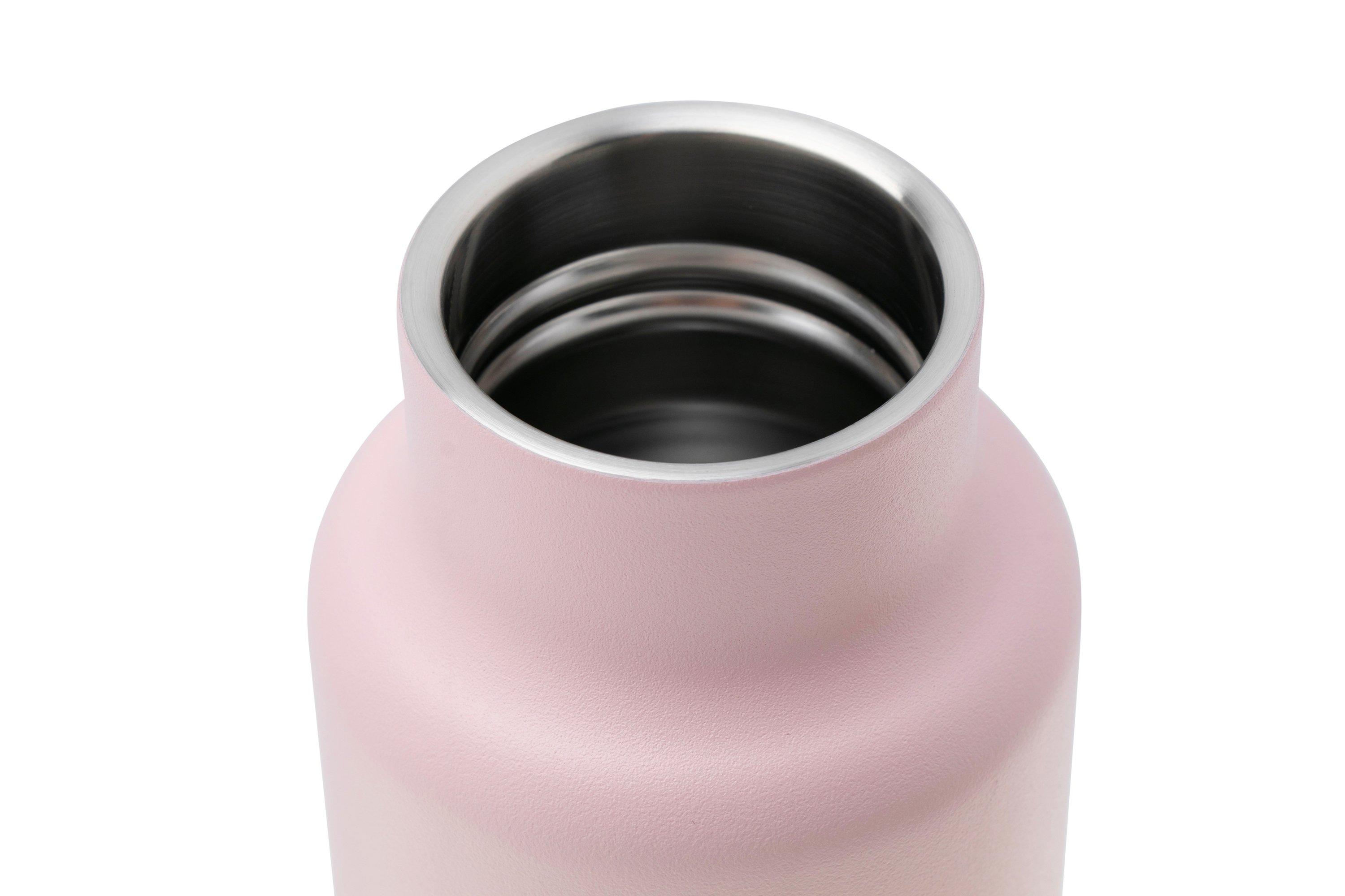 Klean Kanteen Classic Insulated Water Bottle 1008461 Lotus, Loop Cap ...