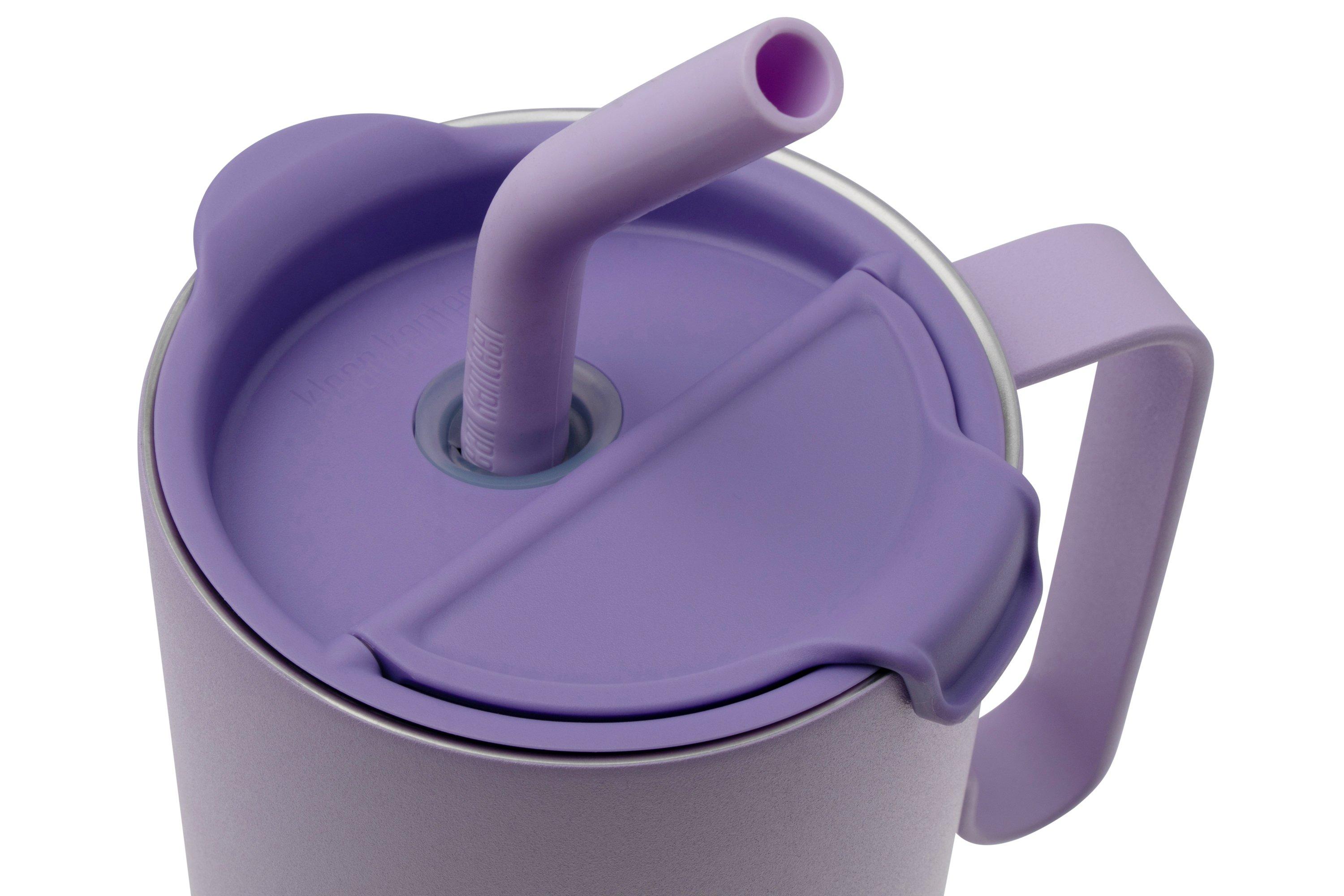 Klean Kanteen Insulated Rise Tumbler 1010993 cup with straw lid, Orchid ...