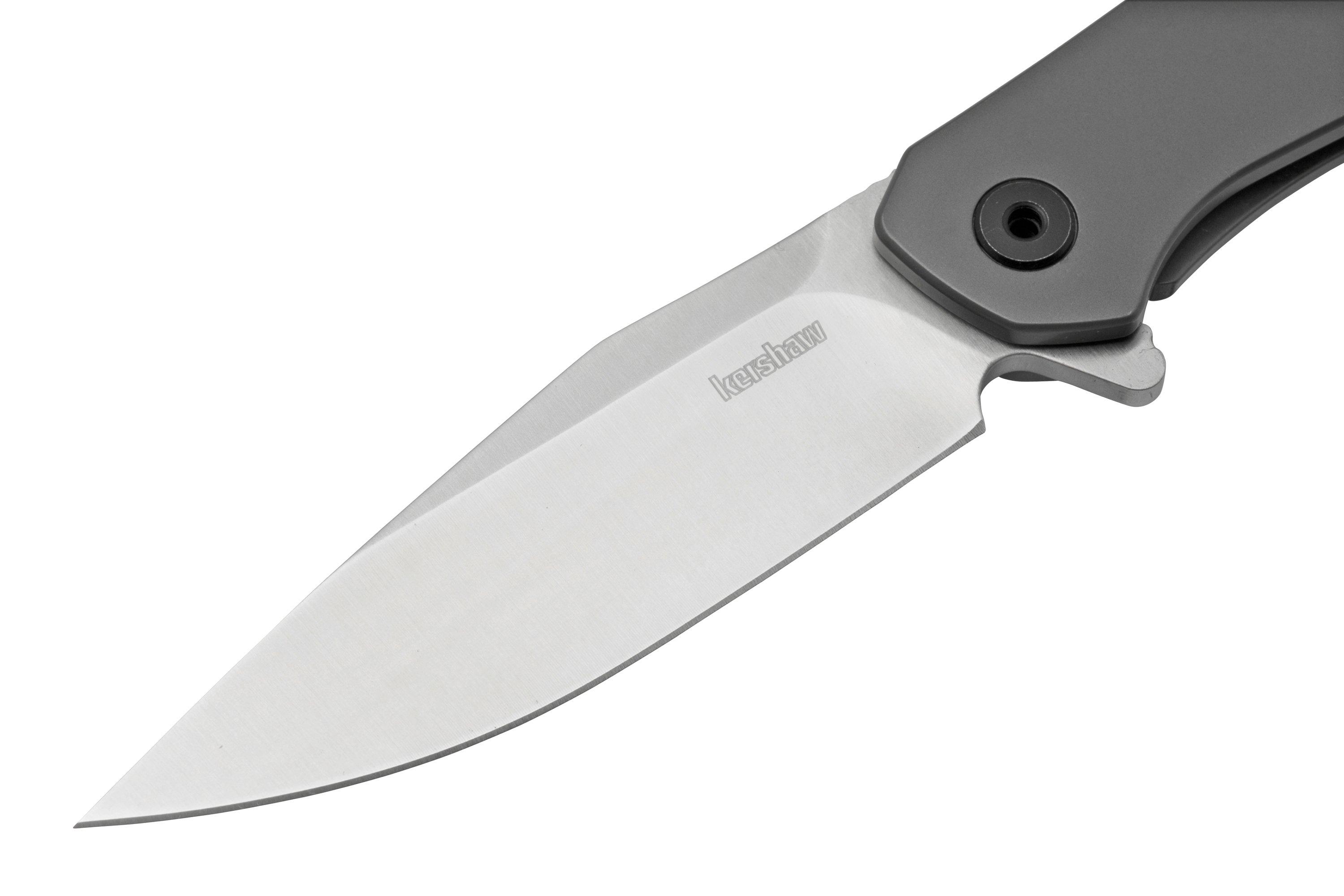 Kershaw Align 1405, Assisted Flipper, Gray PVD Stainless Steel, pocket ...