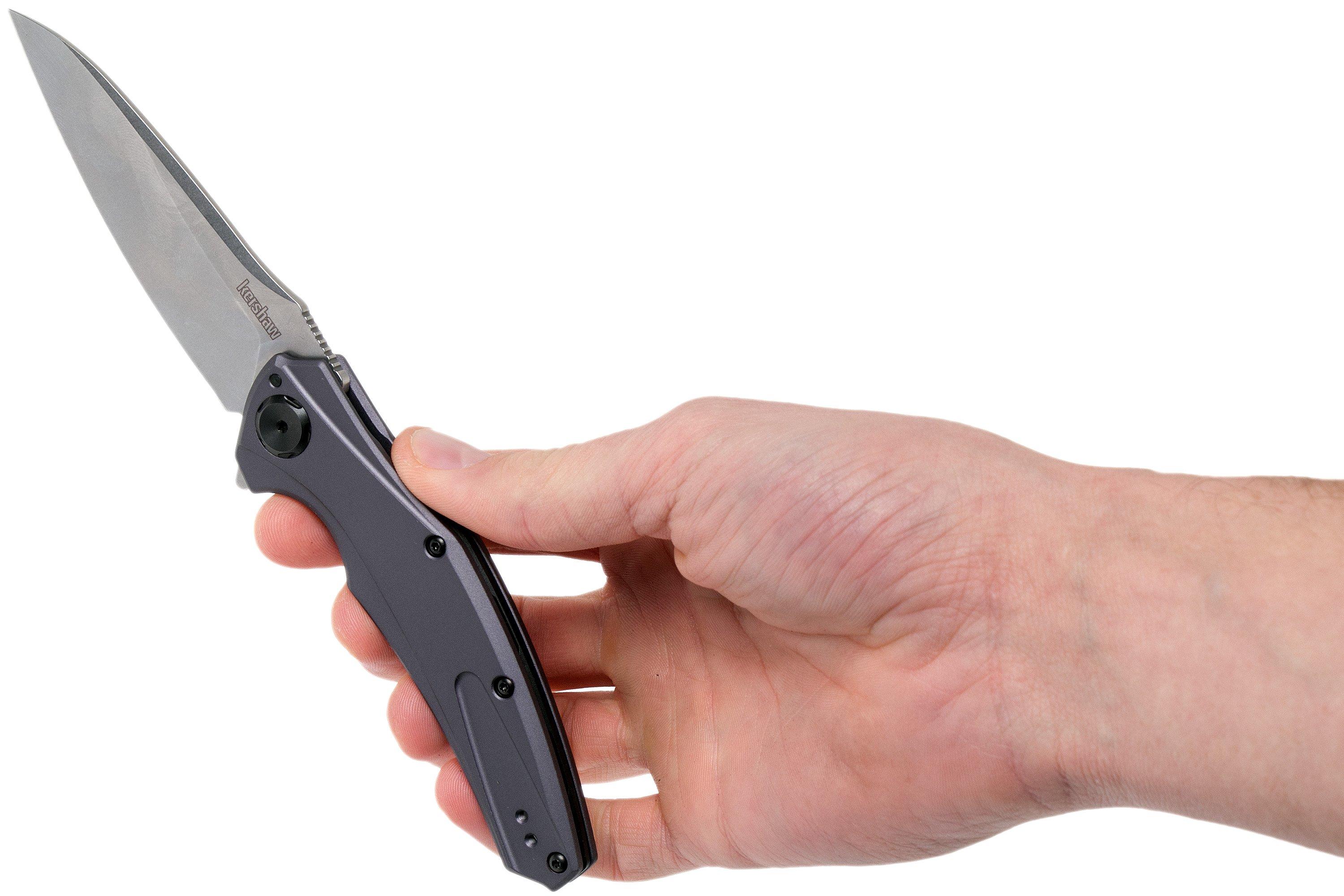 Kershaw Bareknuckle 7777 pocket knife | Advantageously shopping at ...