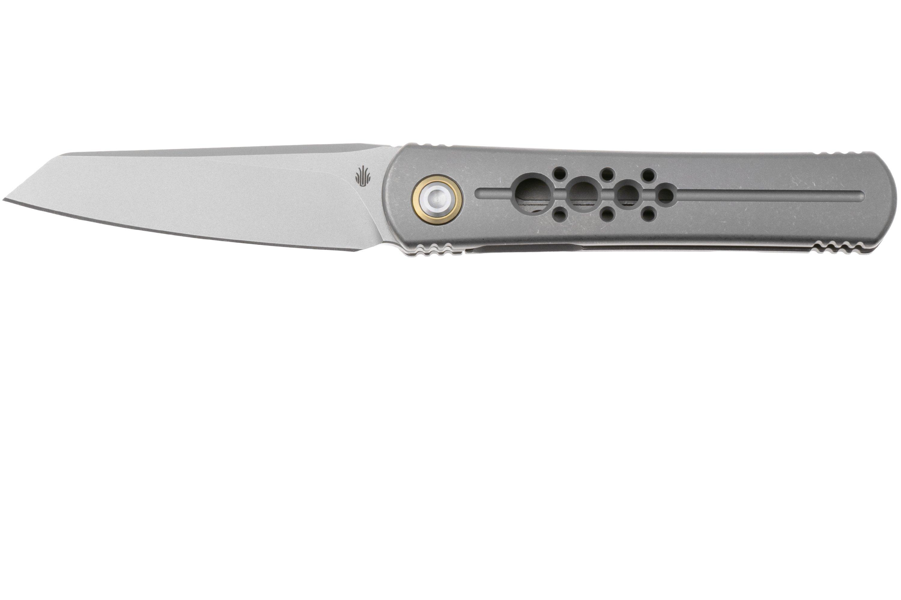 Kizer Feist 2 X Series ZX-3499-2A1 Stonewashed M390, Titanium, coltello ...