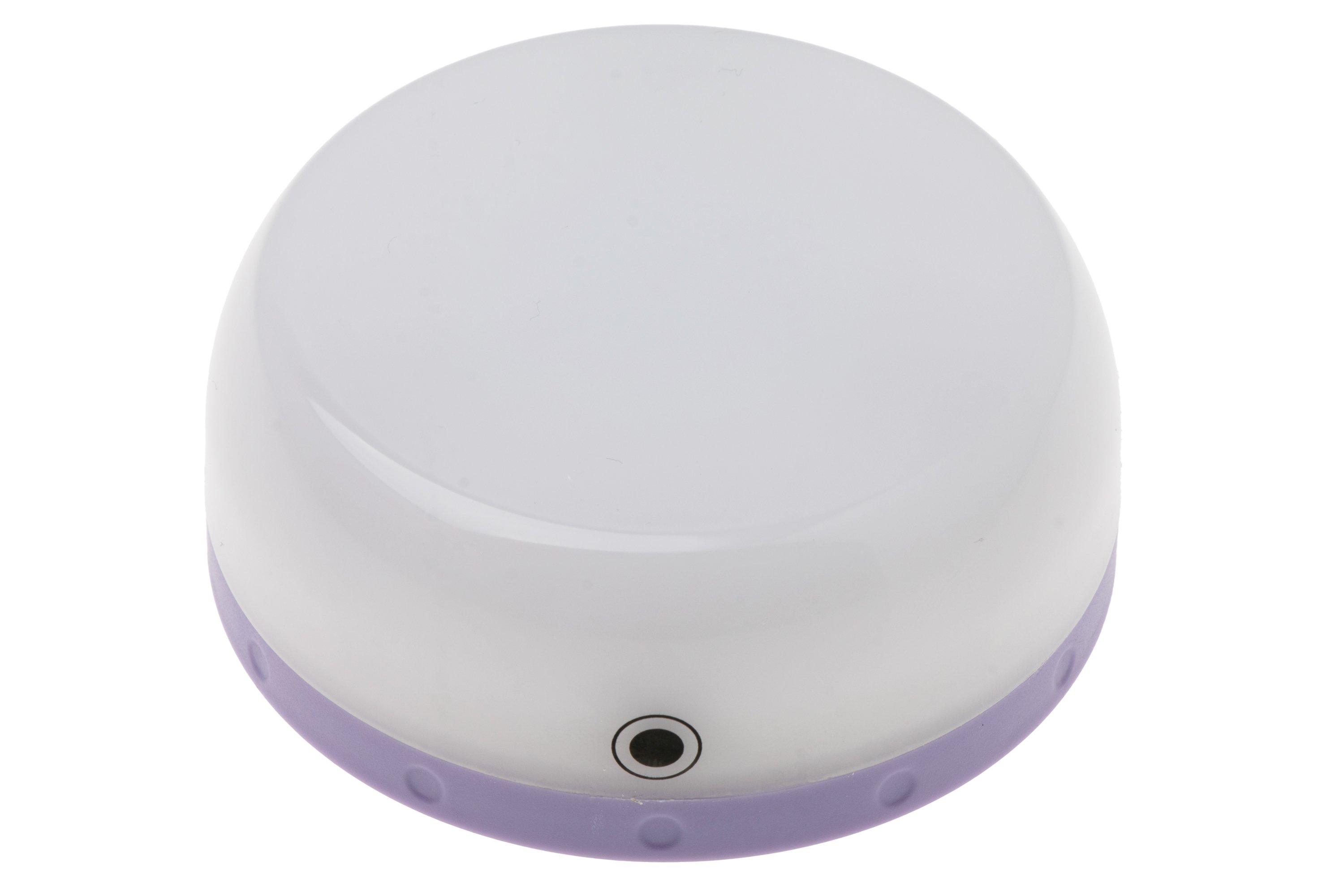 Ledlenser KIDCAMP6 Purple, camping lantern for children, 60 lumens ...
