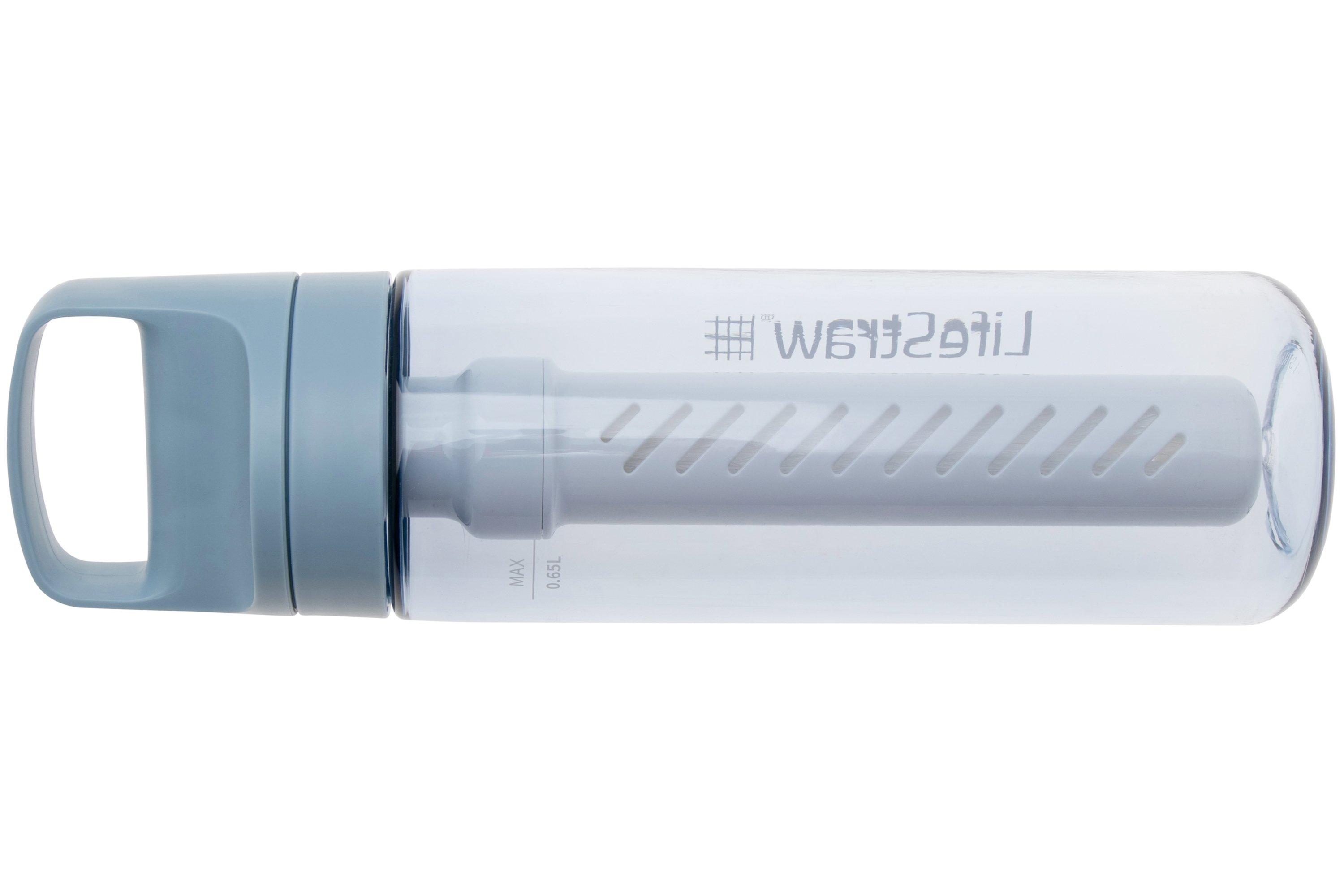 LifeStraw Go Icelandic Blue GO-650ML-ICE BPA-Free Plastic, gourde avec filtre de niveau 2, 650 ...