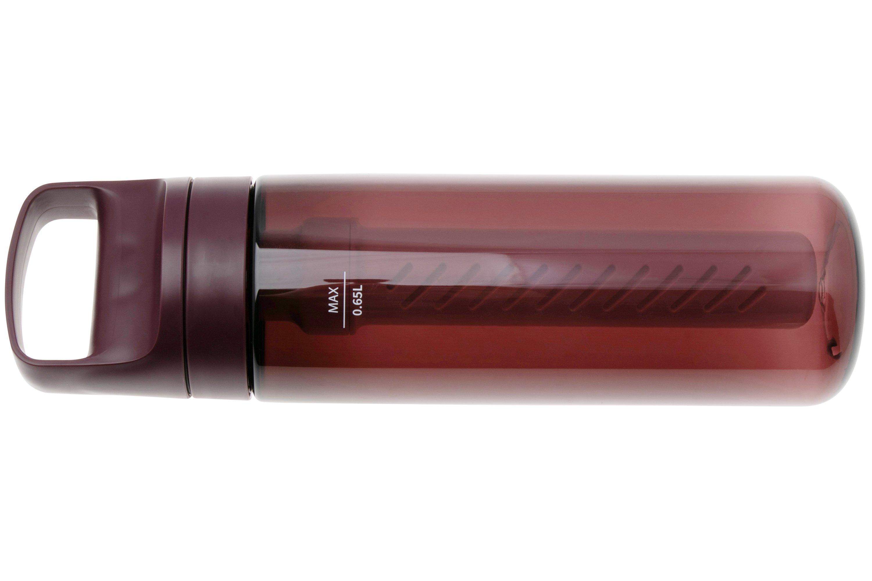 LifeStraw Go Merlot Me Away GO-650ML-MERL BPA-Free Plastic, gourde avec filtre de niveau 2, 650 ...