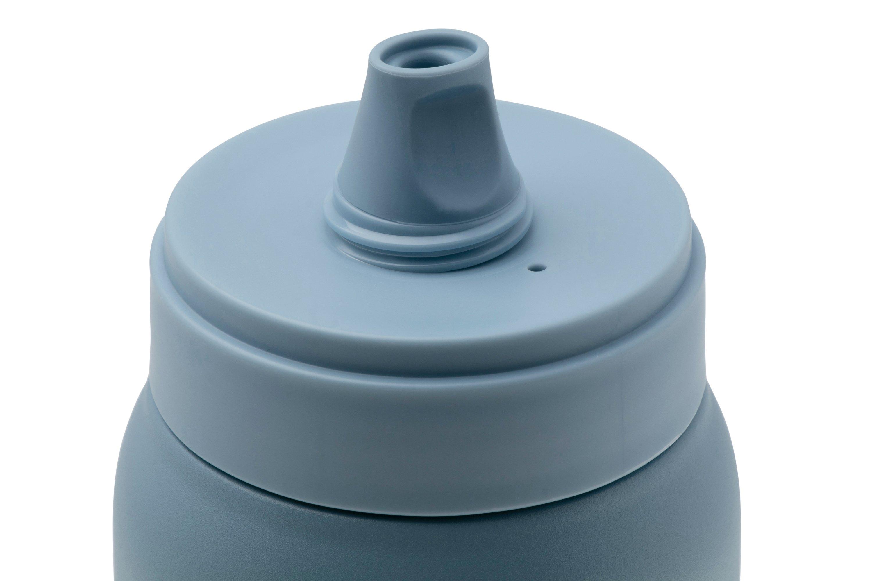 LifeStraw Go Icelandic Blue GOST-650ML-ICE Stainless Steel, gourde avec filtre de niveau 2, 650 ...