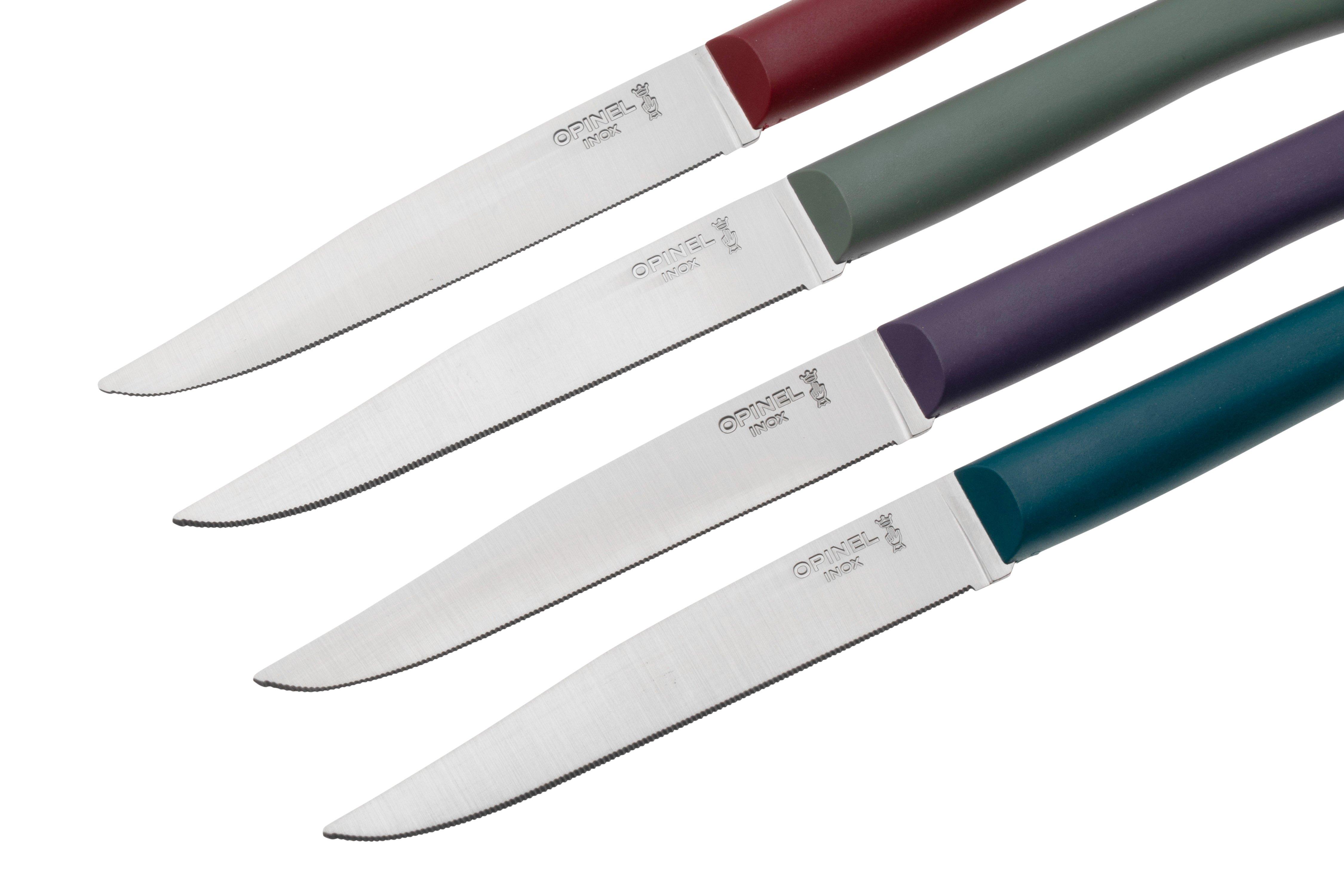 Opinel Bon Appetit+ 2197 Glam, 4-piece table knife set | Advantageously ...