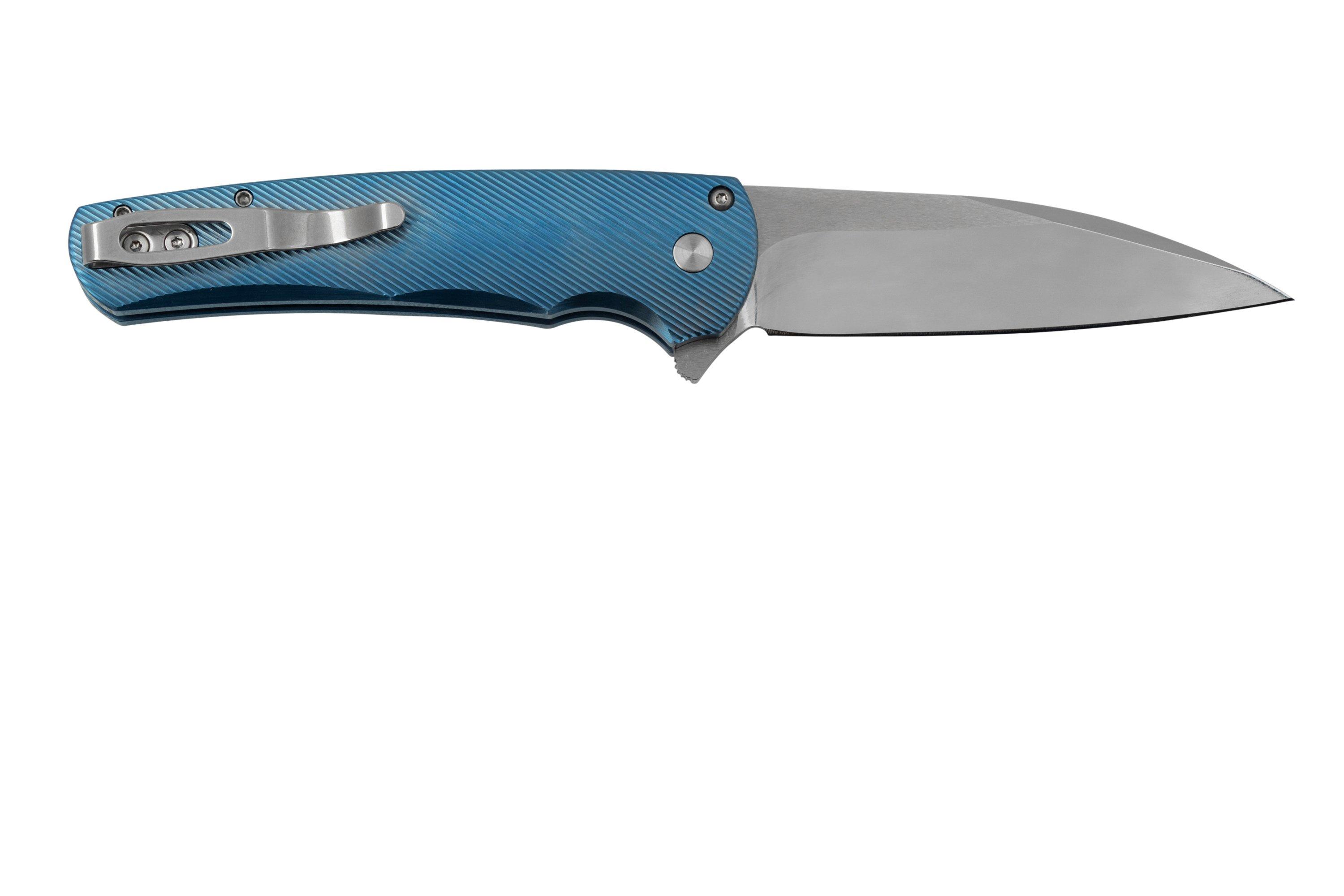 Pro-Tech Malibu Mike Irie Custom 2023, Blue Titanium handle, Gold Lip ...