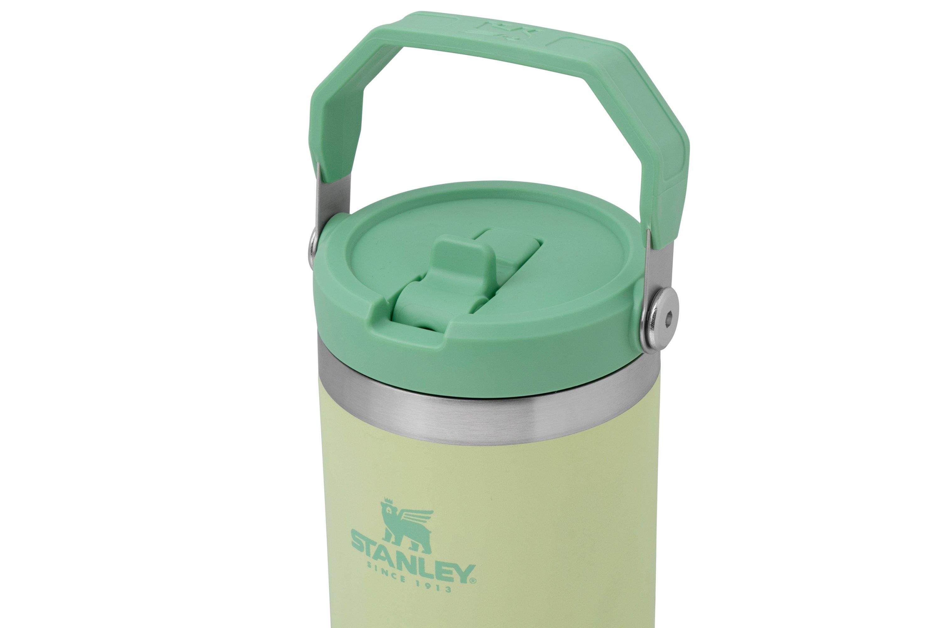 Stanley The IceFlow Flip Straw Tumbler, 10-09993-197, Citron, bottle ...