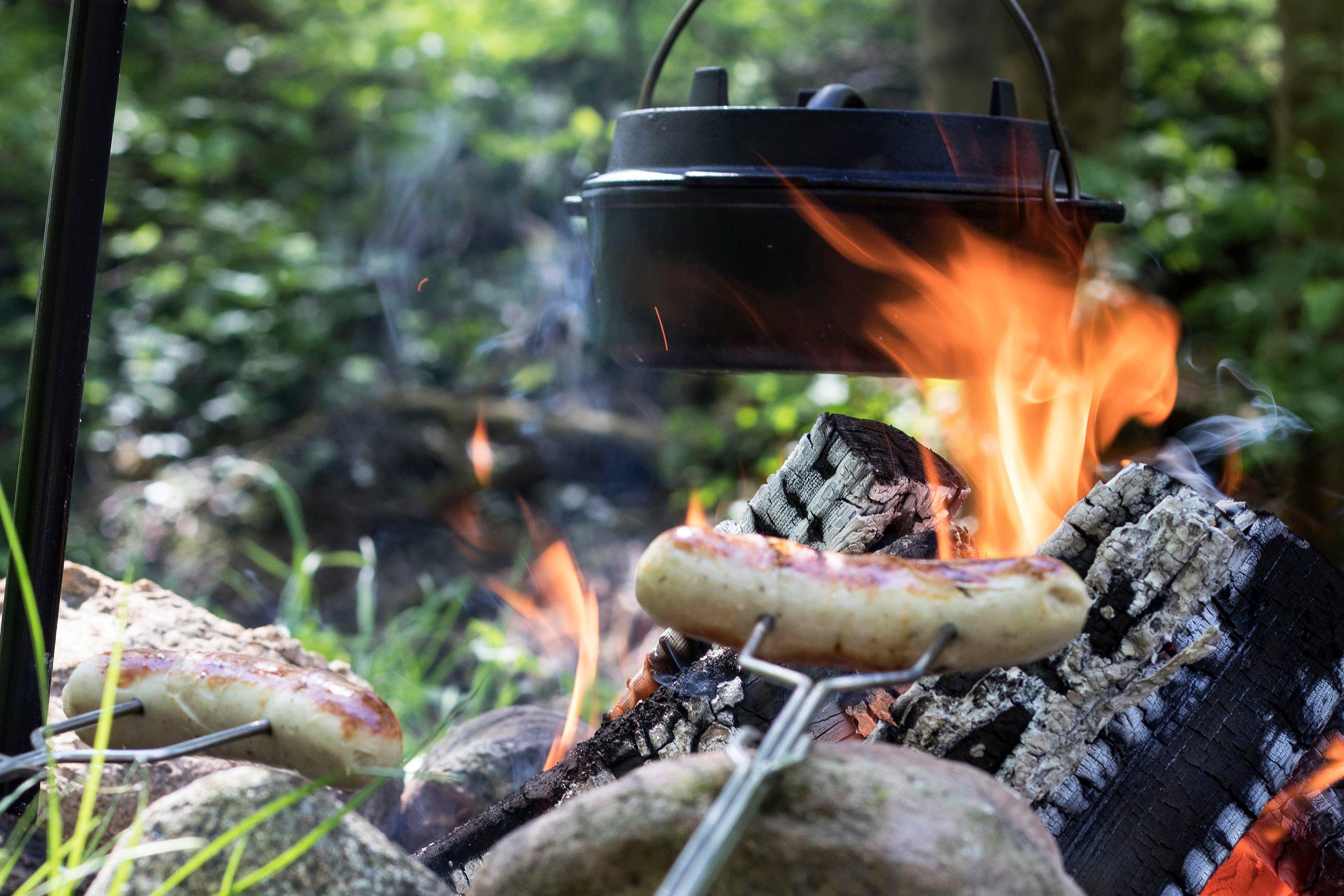 Petromax Campfire Skewer LS1, 2 pieces, straight fork | Advantageously shopping at ...