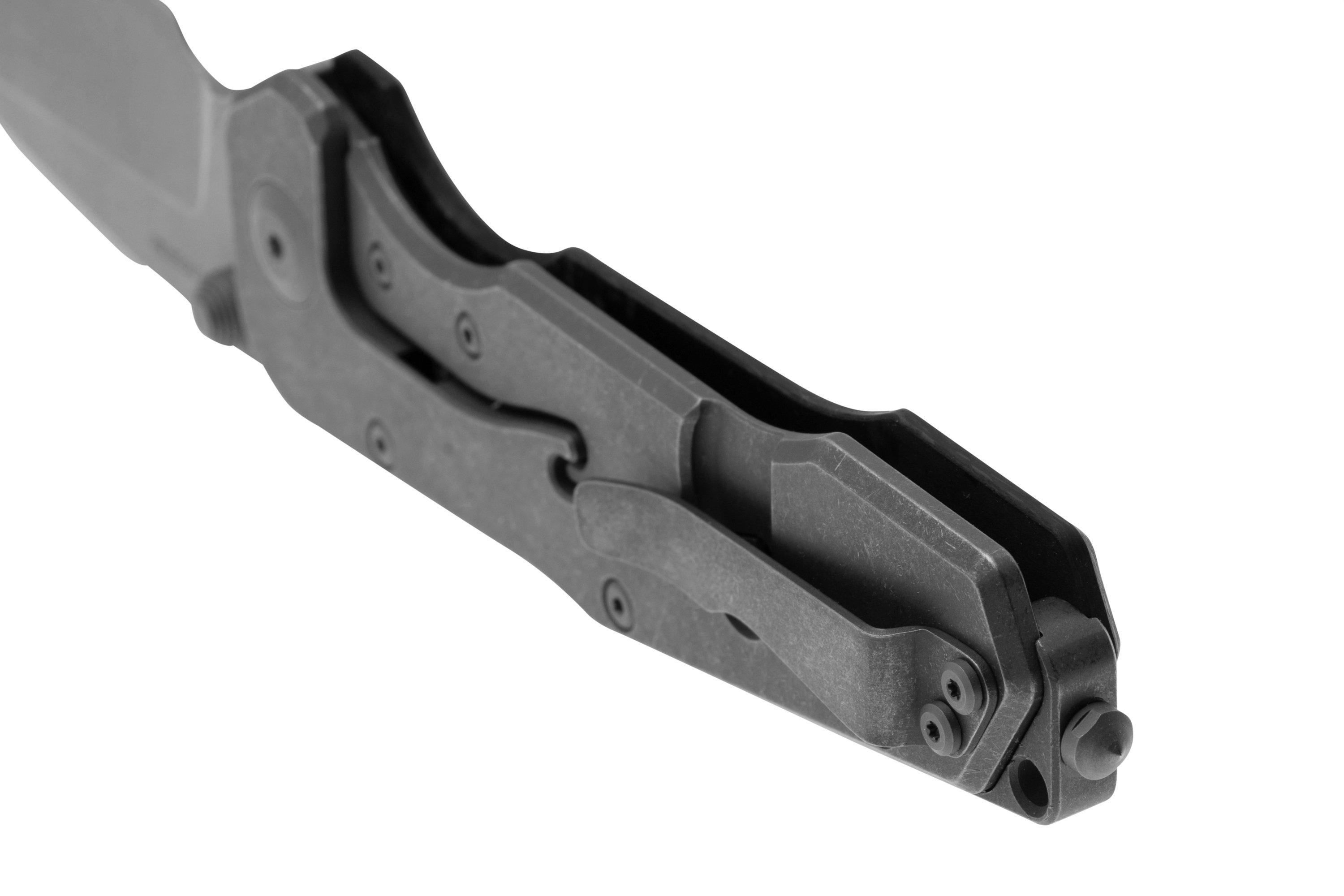 Real Steel 9913 Evolution, Carbonfiber Titanium, Droppoint, pocket ...