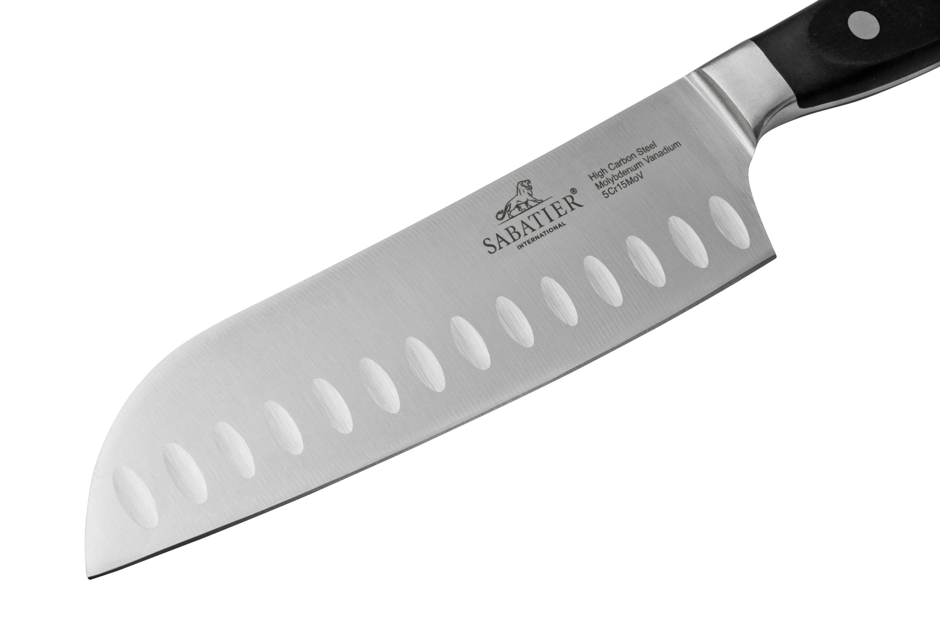 Lion Sabatier International Pluton 900780, 5-teiliges Messerset ...